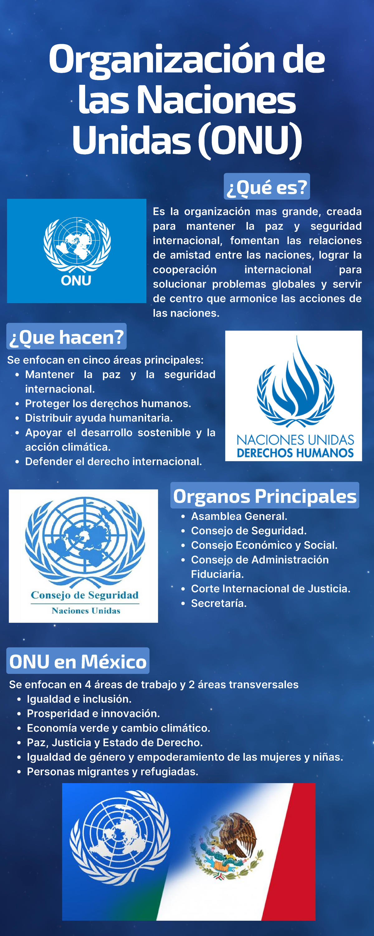 Infografía sobre la ONU: Funciones y Estructura Principal - Studocu