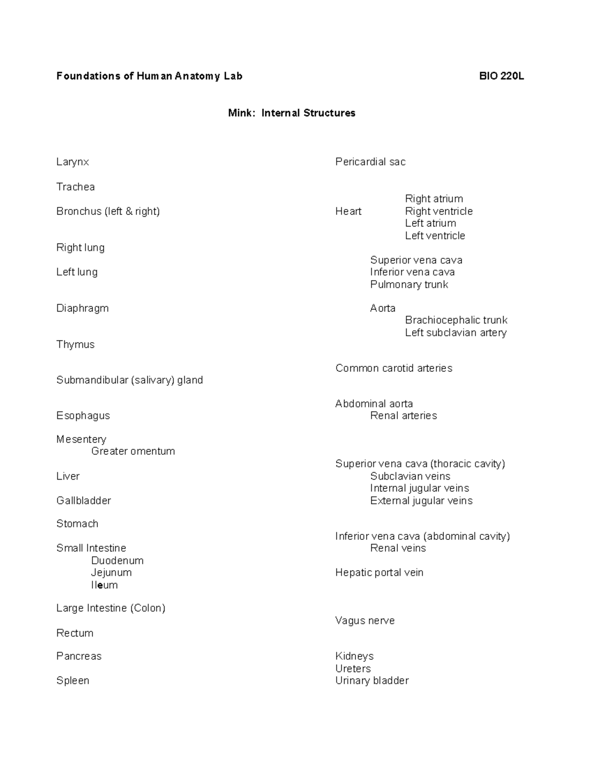 Anatlab - Organ List of Mink Internal Structures for BIO 220L - Studocu