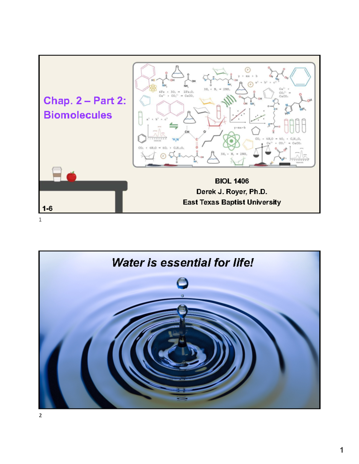 BIOL 1406 Final Exam Review: Key Concepts of Biomolecules - Studocu