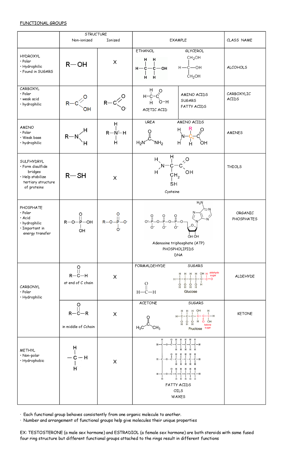 Functional Groups and Their Properties in Organic Molecules (CHEM 101 ...