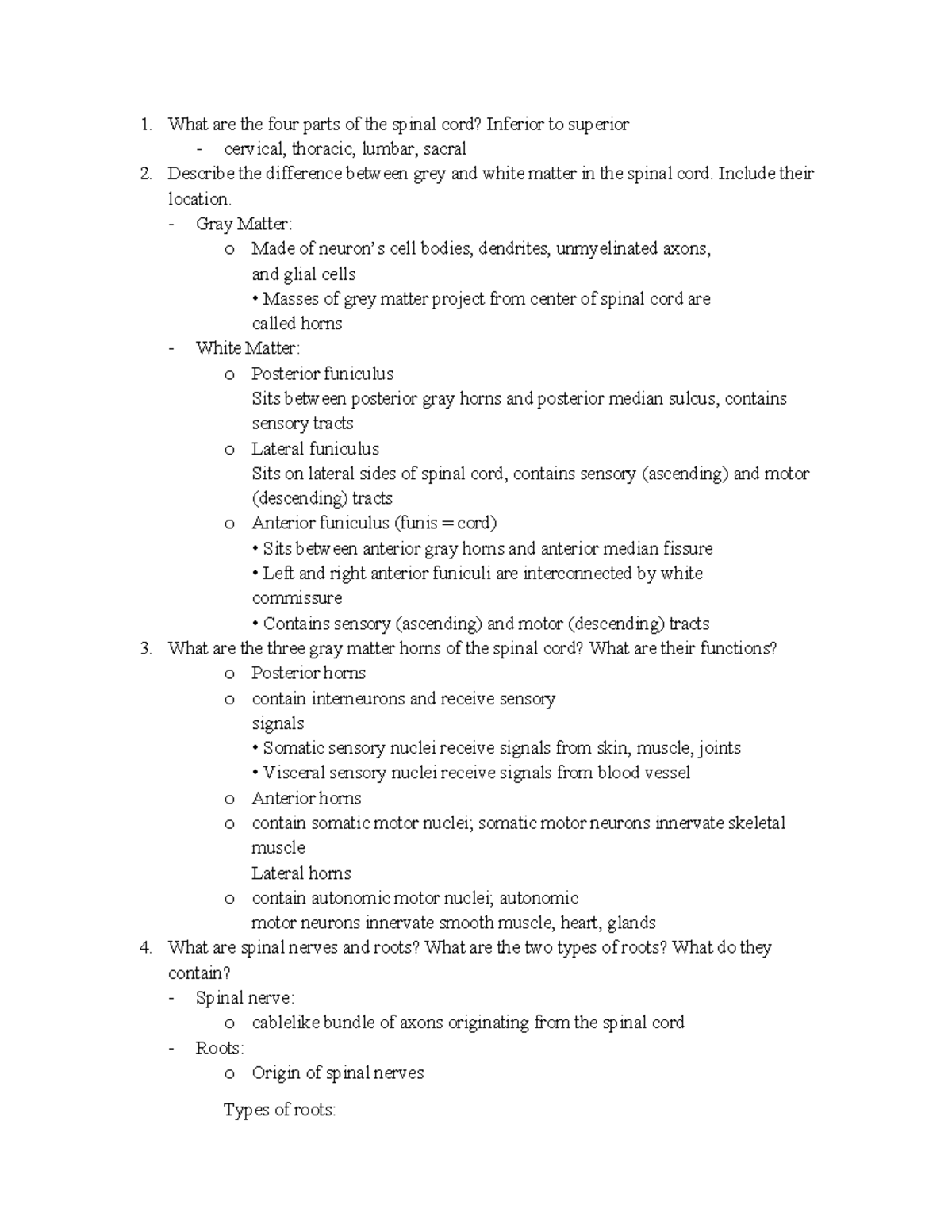 Spinal Cord Anatomy and Function: Lecture Notes - Studocu