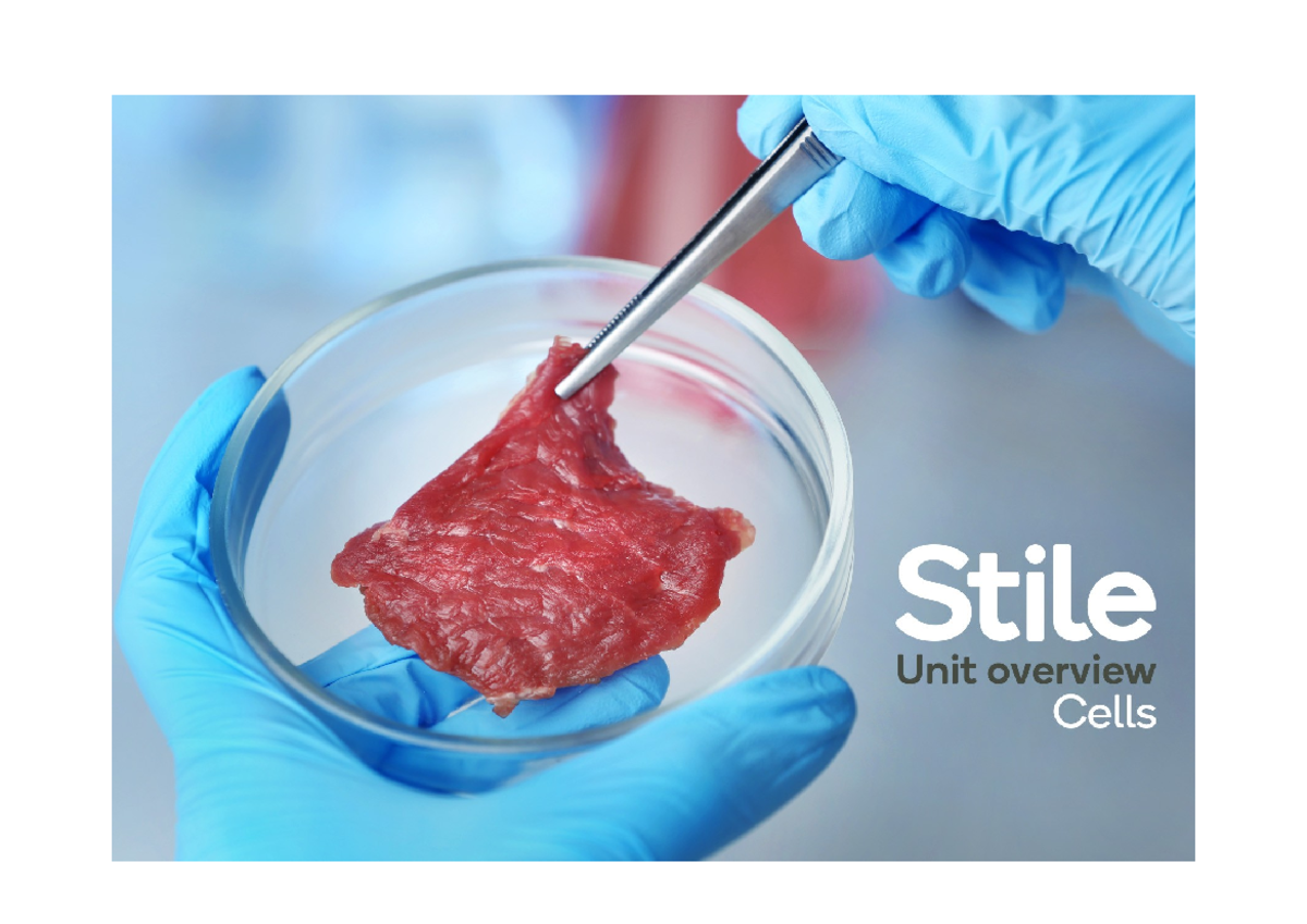Cells Unit Overview: Understanding Life's Building Blocks (Year 8 ...