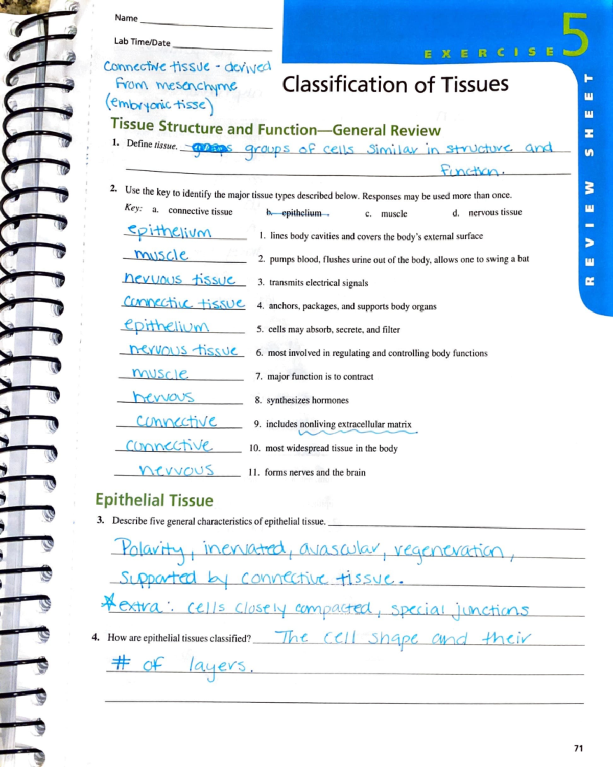 Lab Exercise #5 - Tissue Classification Overview with Dr. Peltzer - Studocu