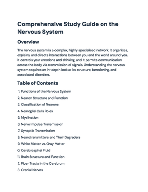 Peripheral Nervous System: Functions, Structure, and Reflexes Overview - The Peripheral Nervous ...