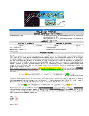 CASO Numero 2 - Síndrome con baja talla Acondroplasia. Reporte de caso - SÍNDROME CON BAJA TALLA ...