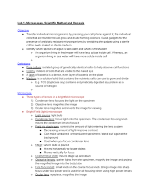 Assignment 2 (BIOL 107 LAB) - Bio 107 - "Effect of Detergent ...
