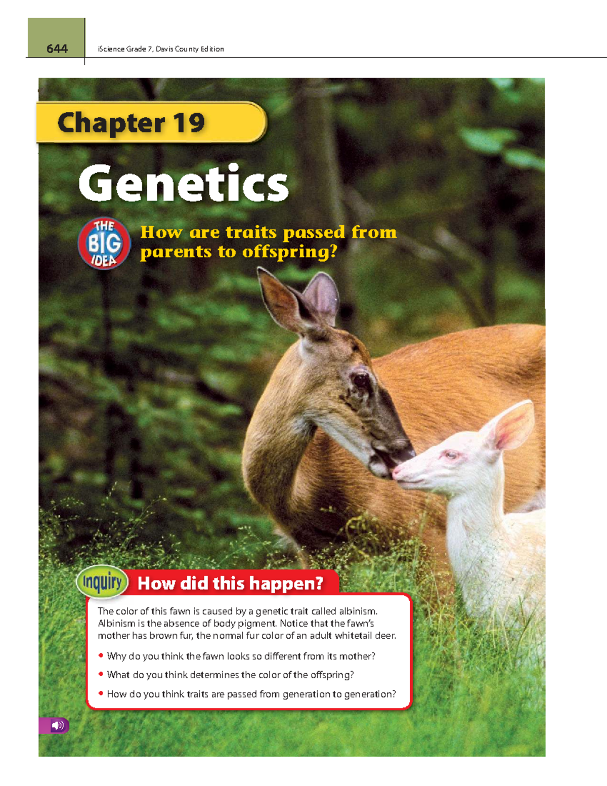 644 iScience Grade 7: Chapter 19 Genetics - Traits Inheritance ...