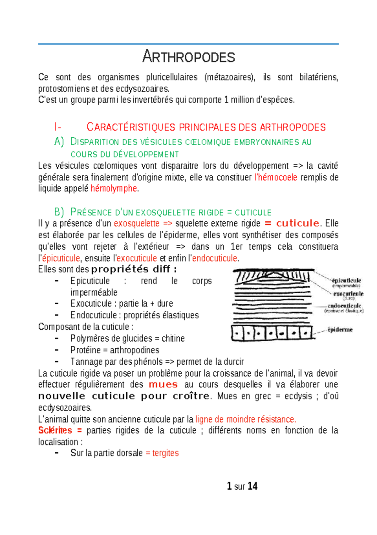 ARTHROPODES - Cours Complet sur les Caractéristiques et Diversité - Studocu