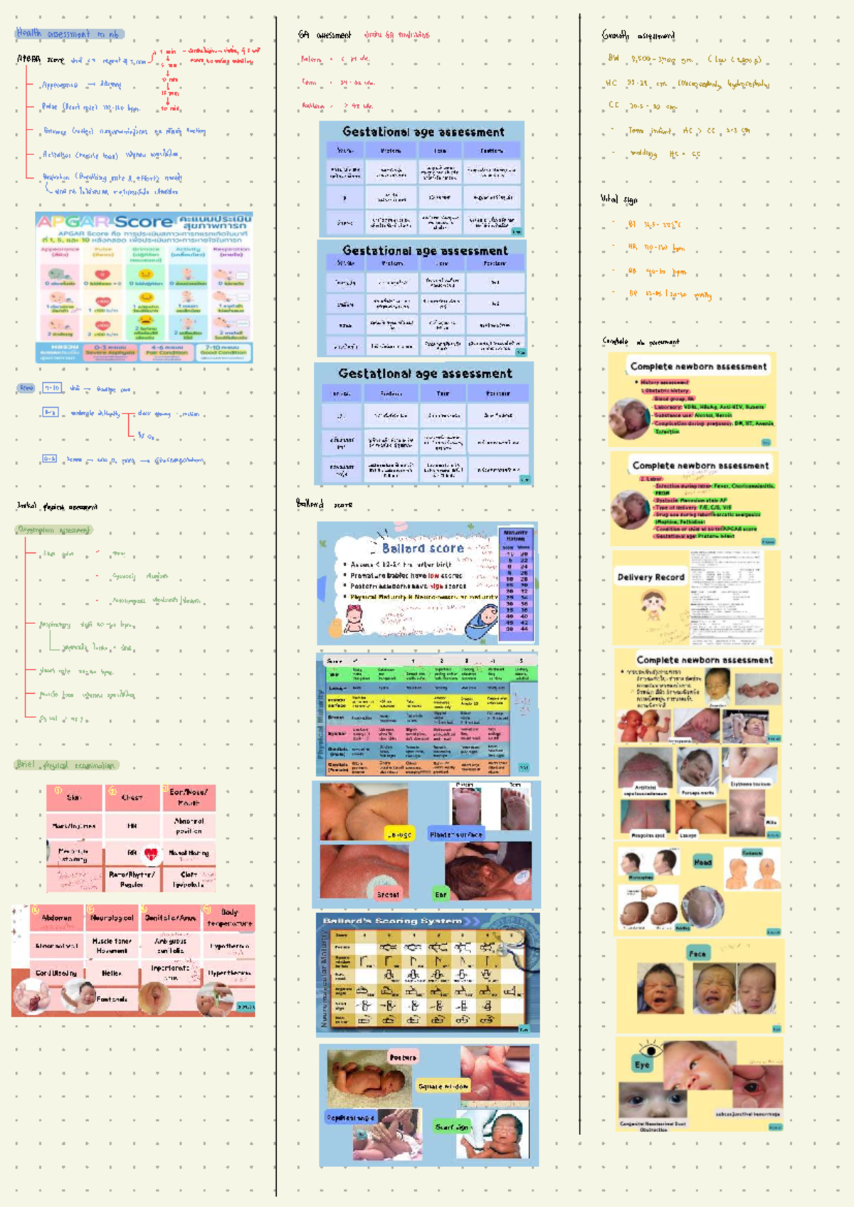 สรุปการประเมินสุขภาพทารก (Health Assessment in NB) - Studocu