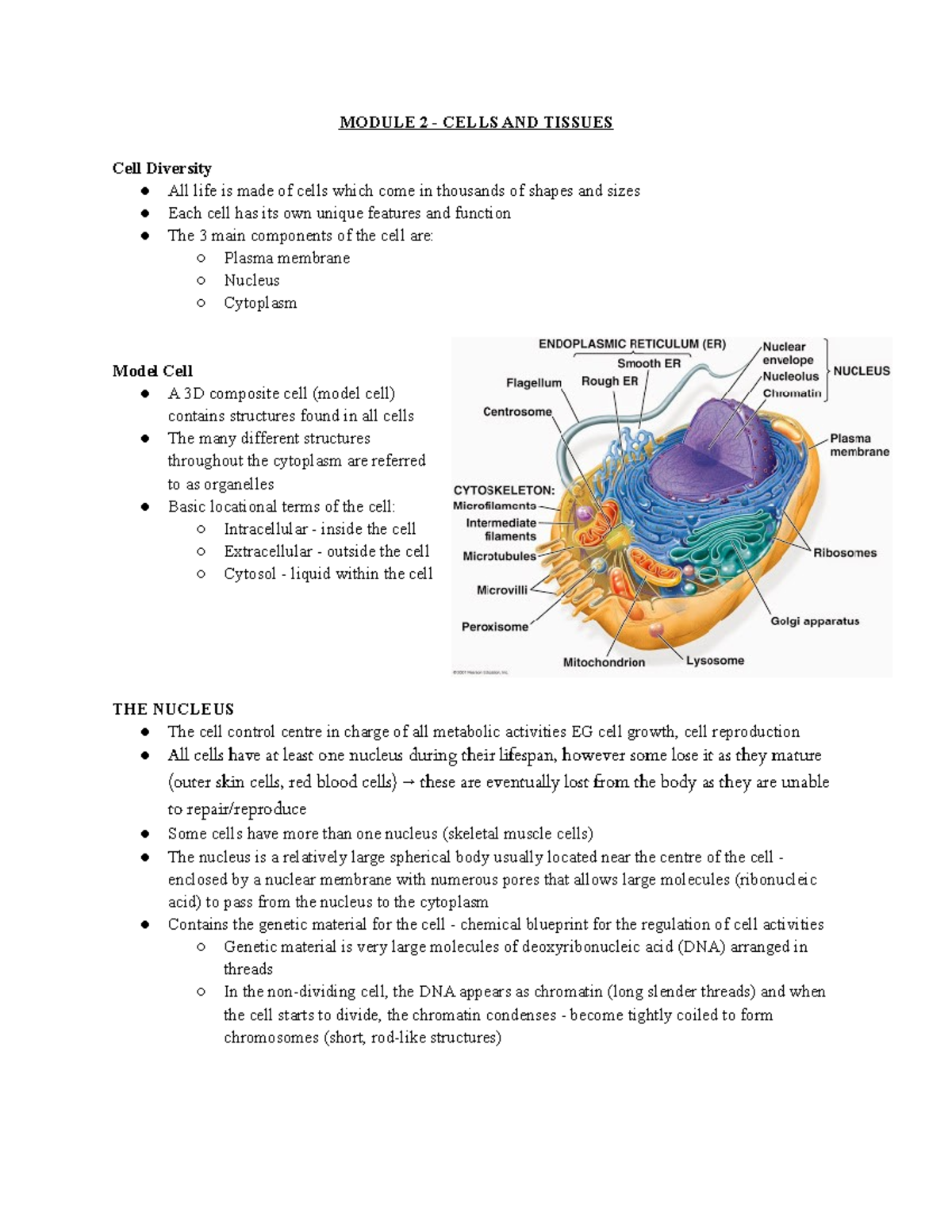 Cells and Tissues: A Comprehensive Study on Cell Diversity and Function ...