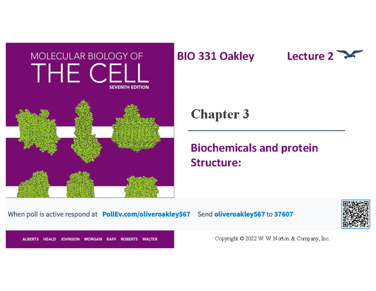 BIO 331 Oakley Lecture 2: Overview of Protein Structure and Function ...