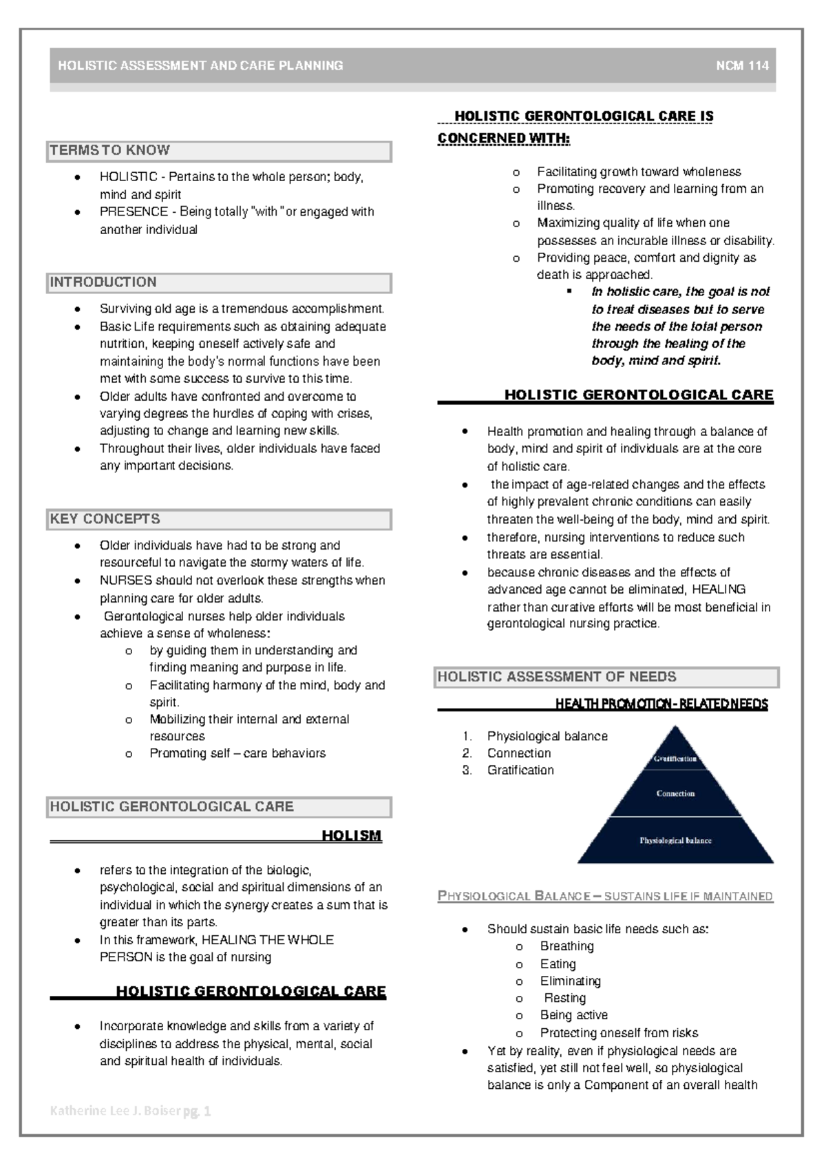 Holistic Assessment and Care Planning in Gerontological Nursing NCM 114 ...
