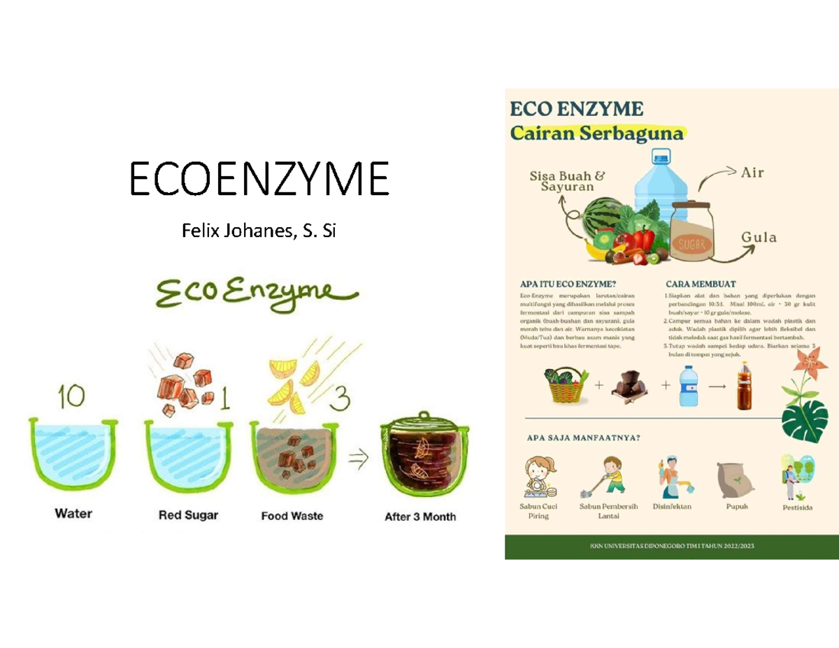 EKO 101: Ecoenzyme dari Fermentasi Limbah Organik dan Manfaatnya - Studocu