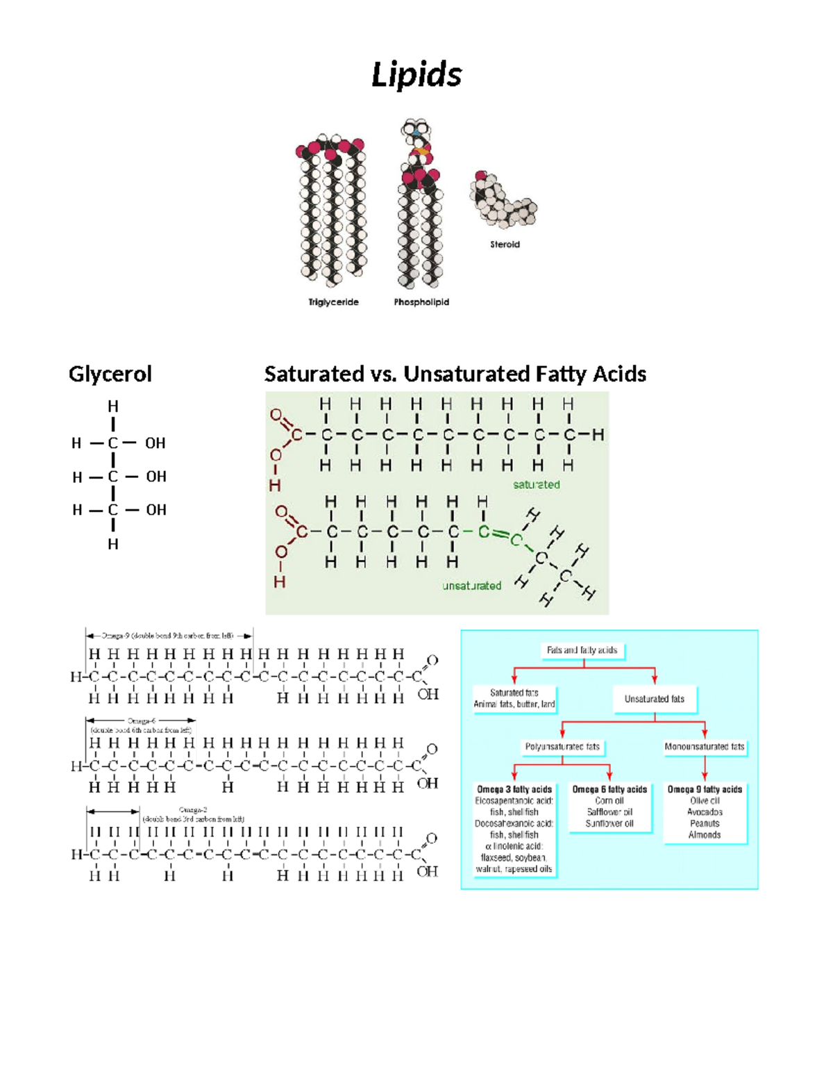 Lipids: Glycerol & Fatty Acids (Worksheet Handouts) - Studocu