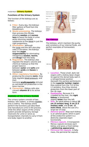 Anatomy Physiology (Chapter 14 Lymphatic System) - LYMPHATIC SYSTEM ...