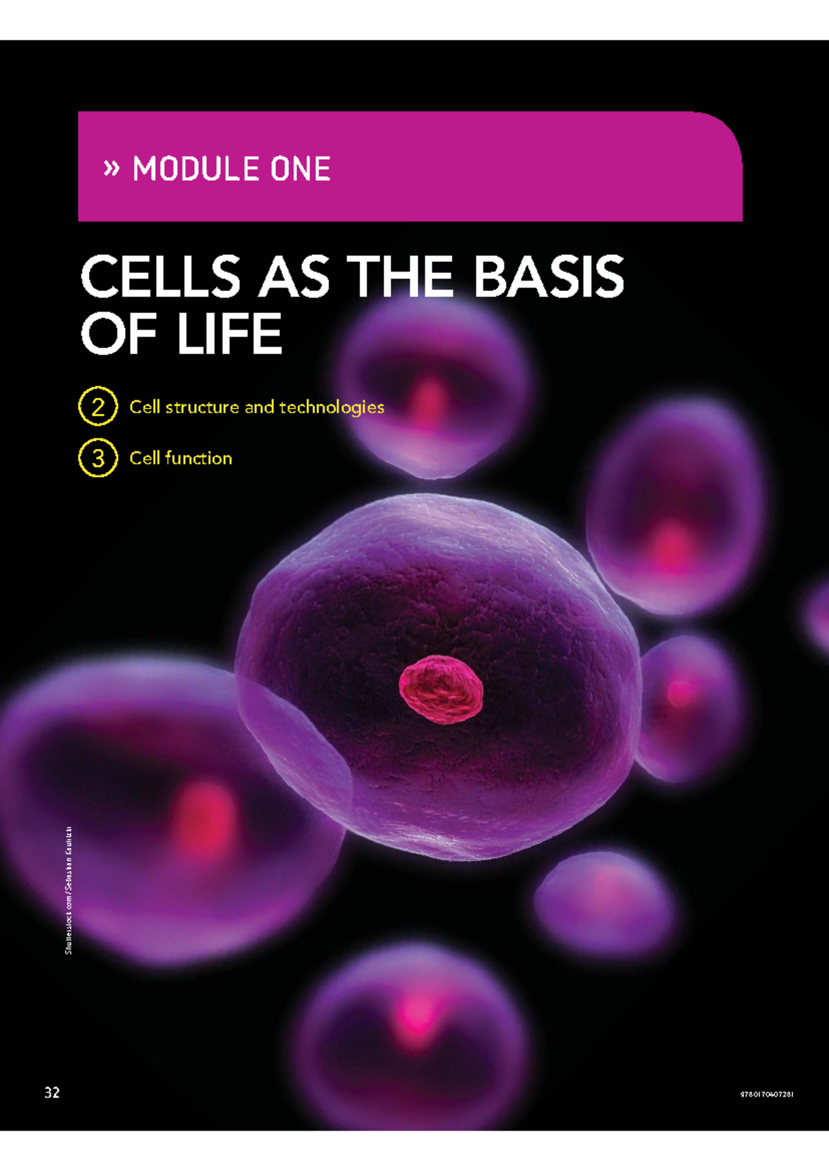 MODULE ONE: CELLS AS THE BASIS OF LIFE - Structure & Function Analysis ...