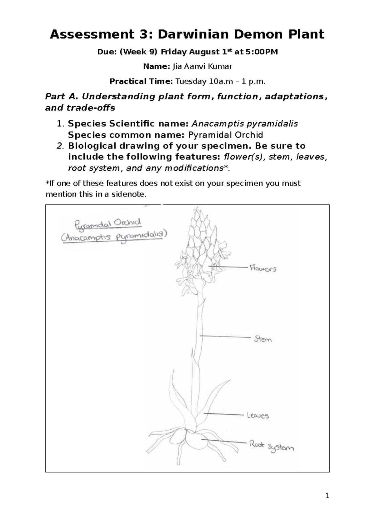 DD Worksheet 2025 - Assessment 3: Darwinian Demon Plant Analysis - Studocu