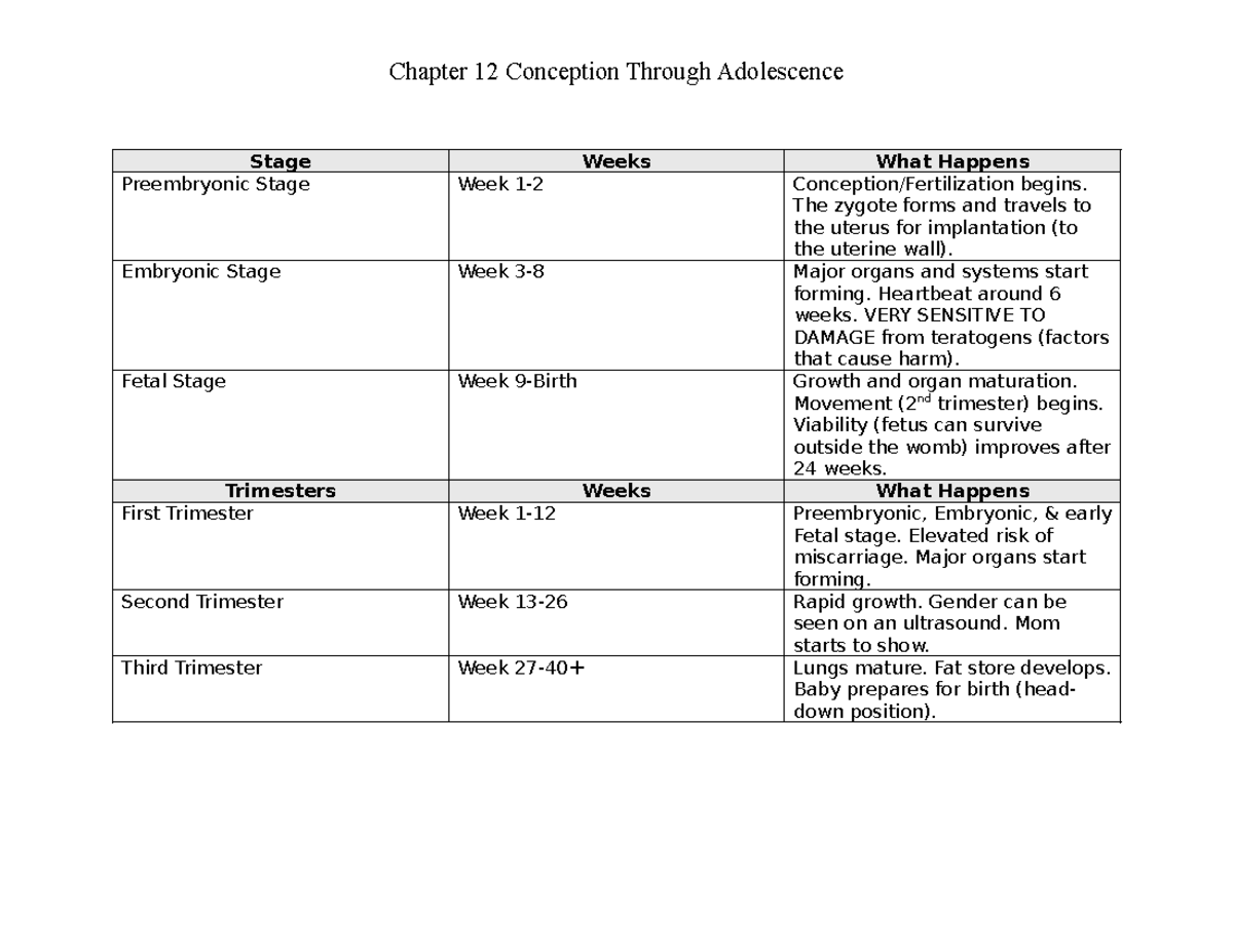 Chapter 12 Handout - Conception Through Adolescence Stages - Studocu