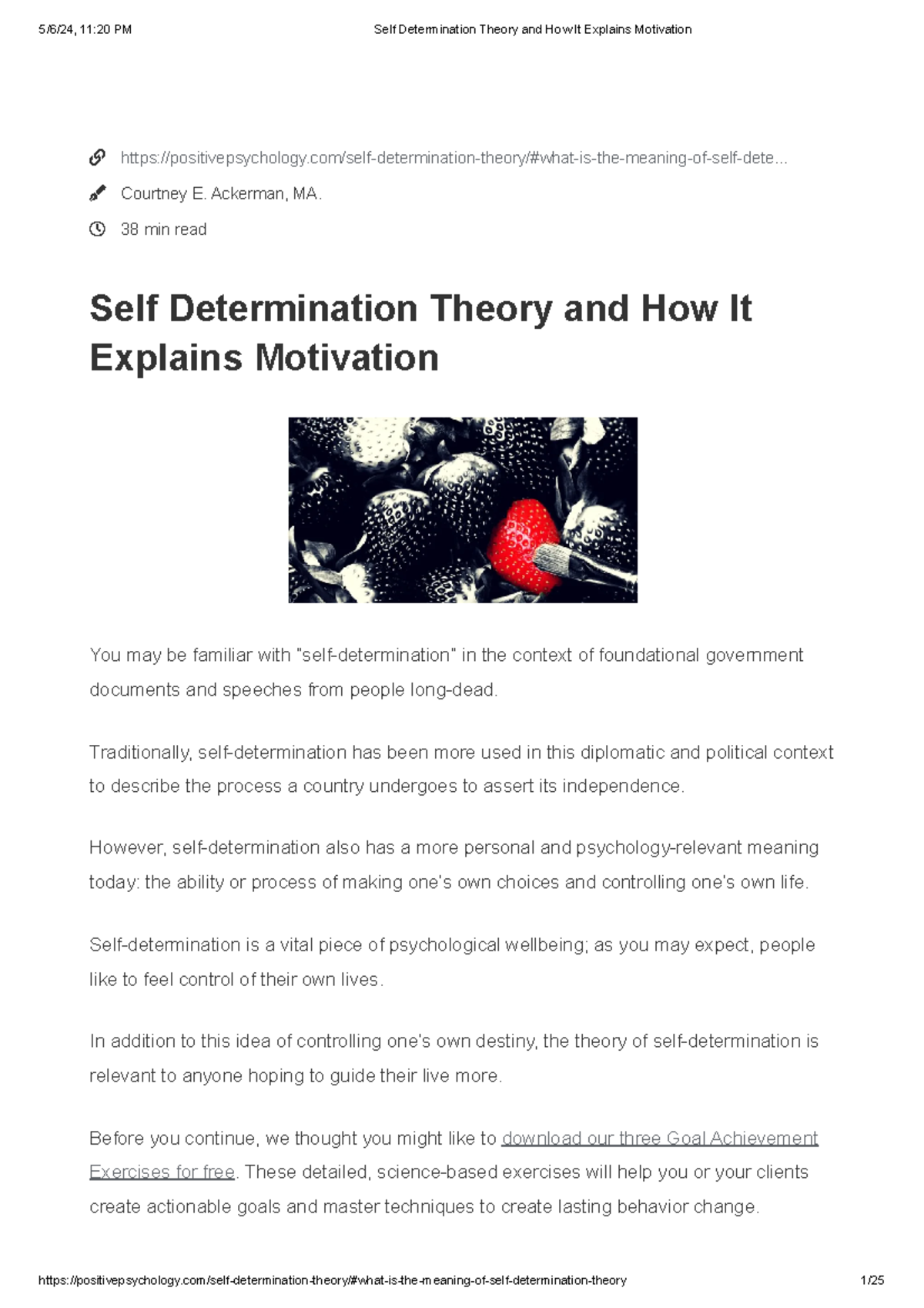 Self Determination Theory (SDT): Understanding Motivation and Wellbeing ...