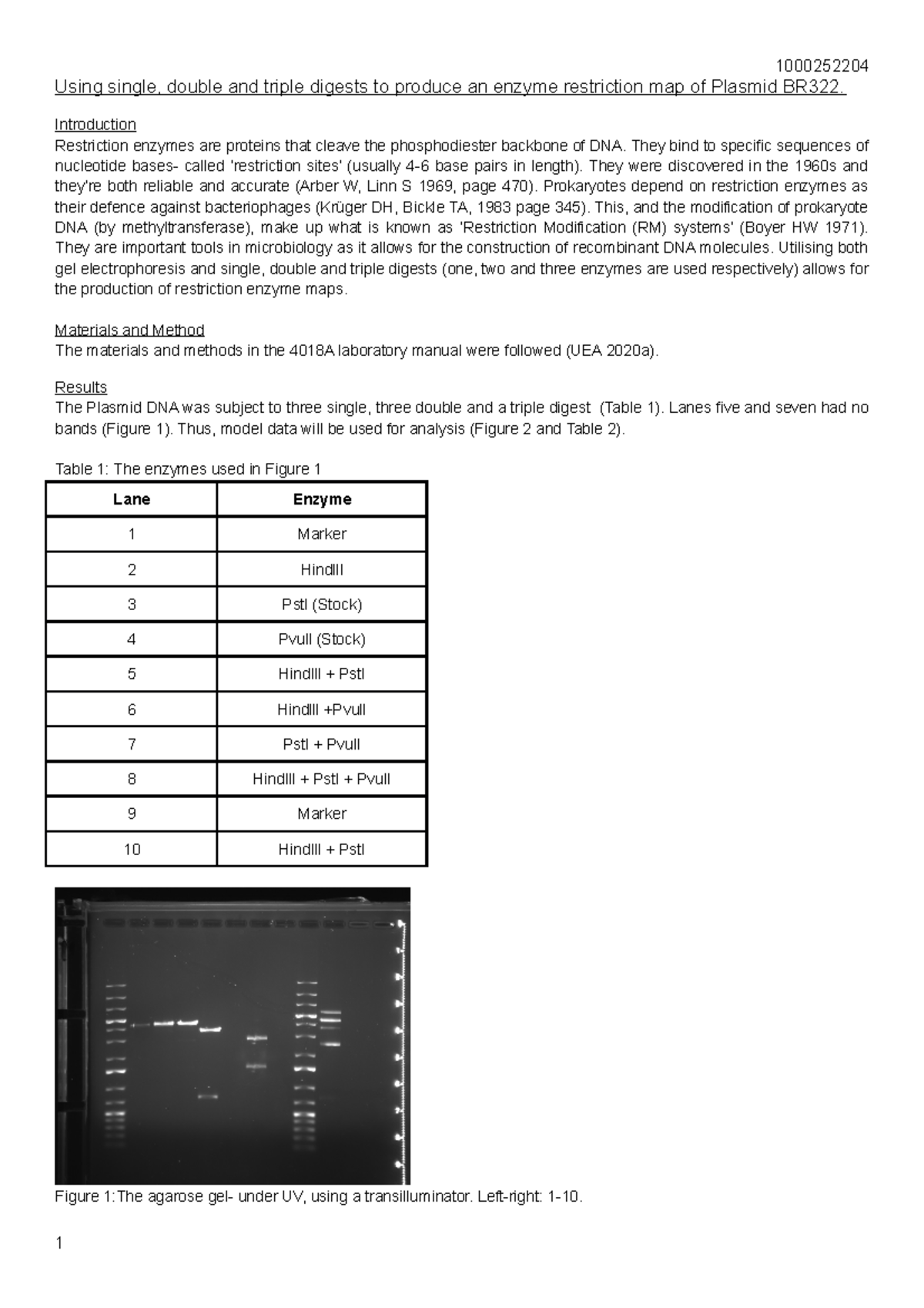 Restriction Enzyme Lab Report: Mapping Plasmid BR322 Using Digests ...