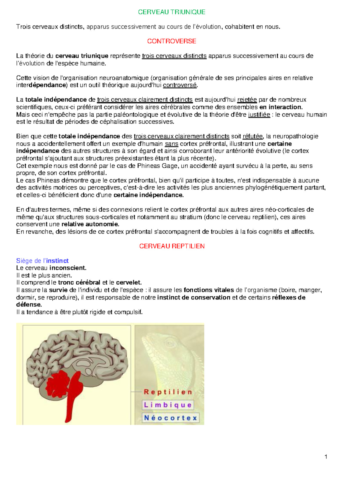 Cerveau triunique - 1 CERVEAU TRIUNIQUE Trois cerveaux distincts ...