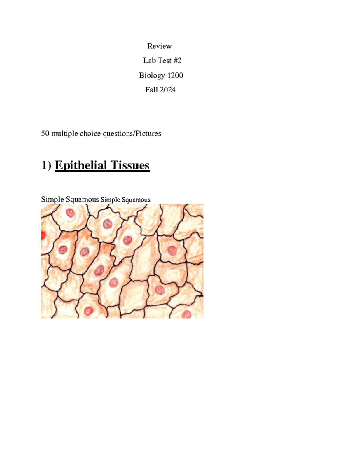 Biology 1200 Lab Test #2 Review - Fall 2024 - Review Lab Test # 2 ...