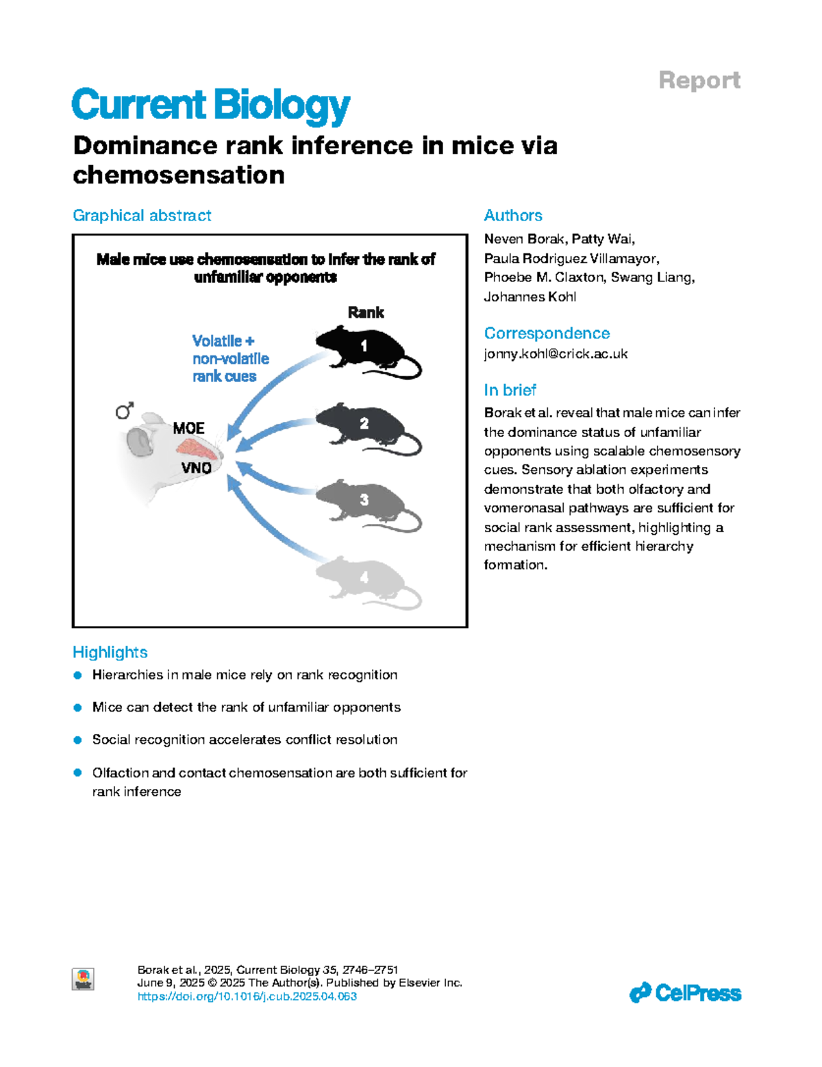 Dominance Rank Inference in Mice via Chemosensation: Week 6 Report ...