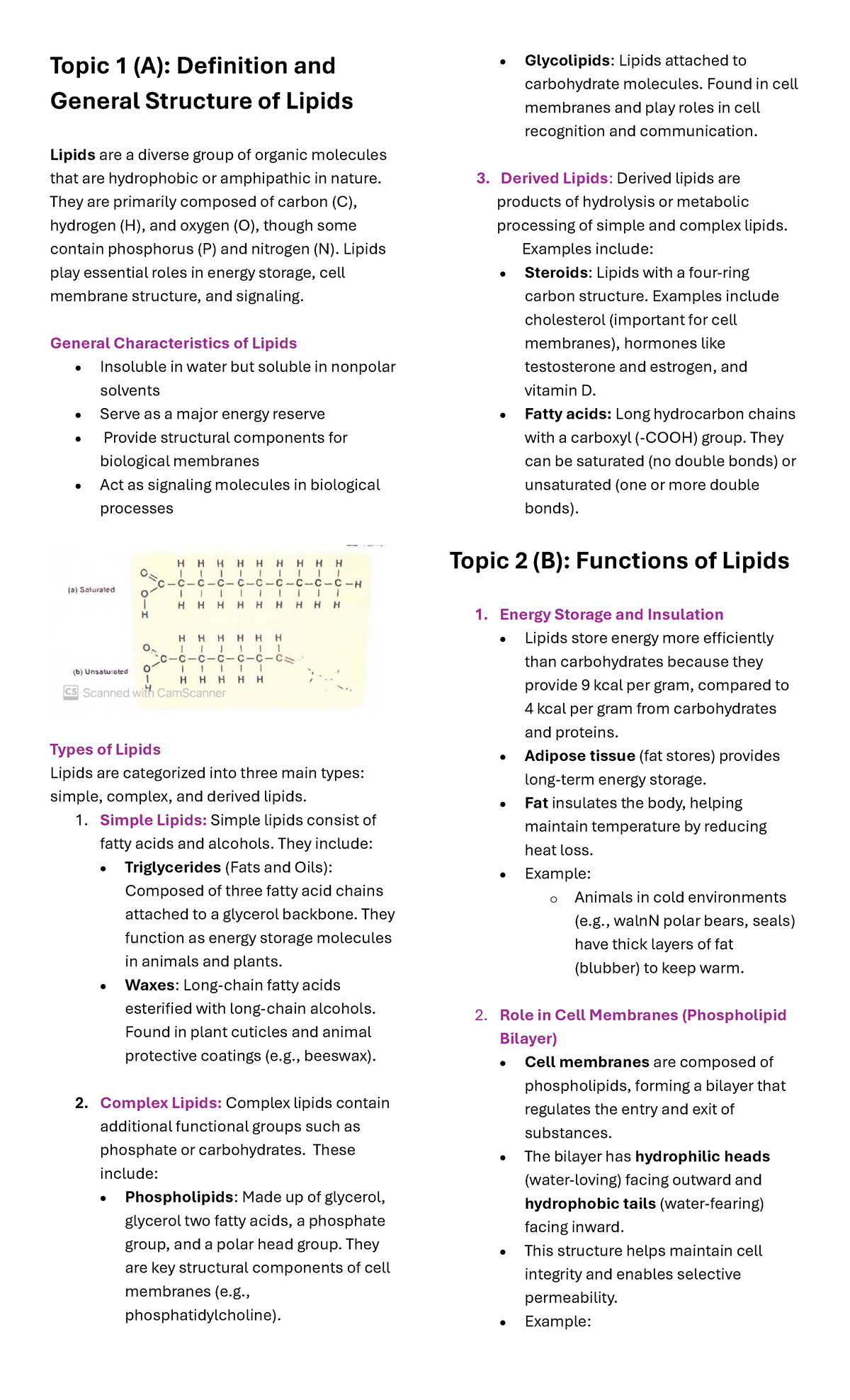 Lesson 3 & 4: Comprehensive Overview of Lipids and Their Functions ...