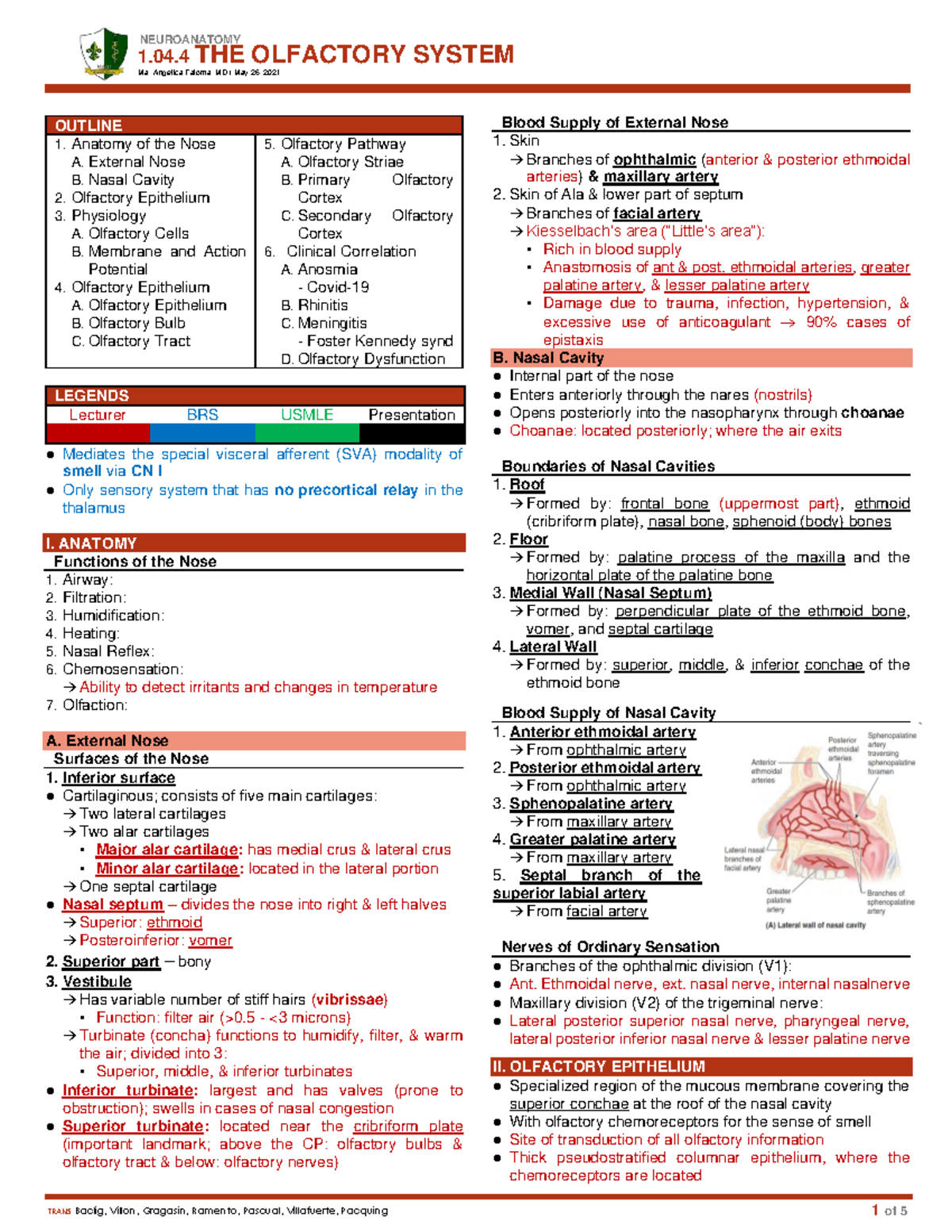 NEUROANATOMY 1.04.4: The Olfactory System Overview and Physiology - Studocu