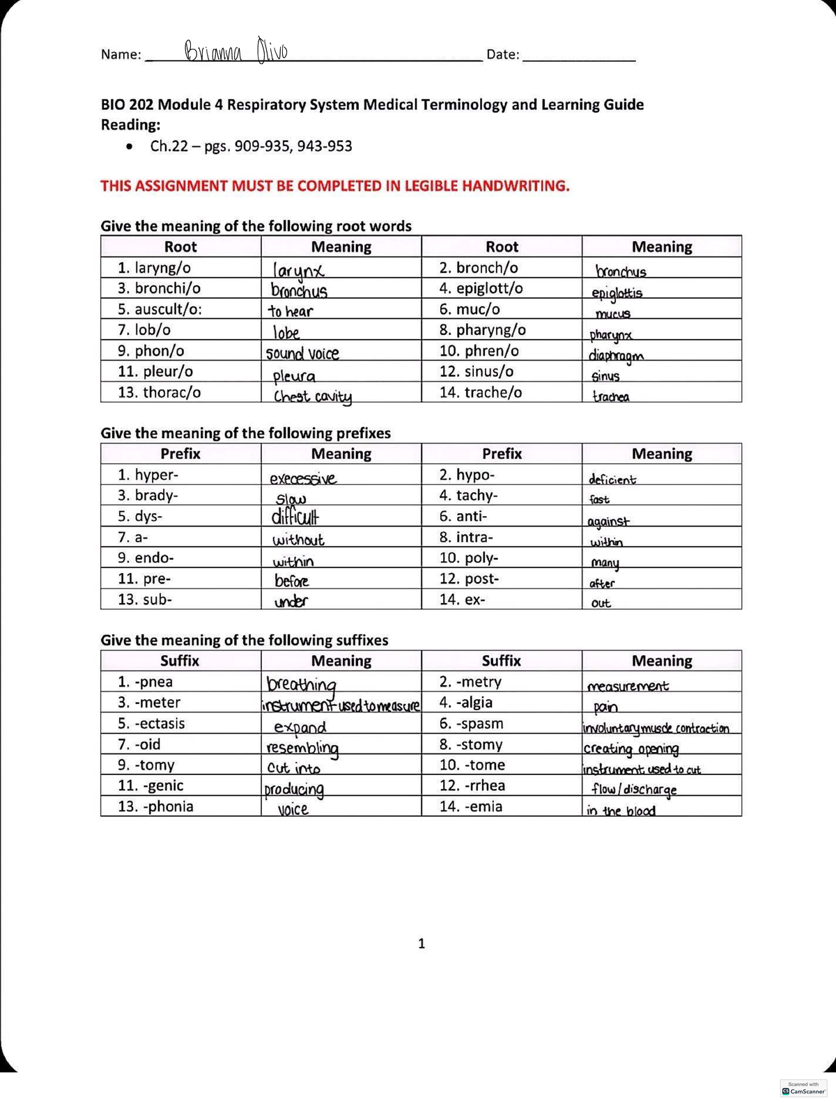 BIO 202 Module 4 Respiratory System Terminology & Learning Guide - Studocu