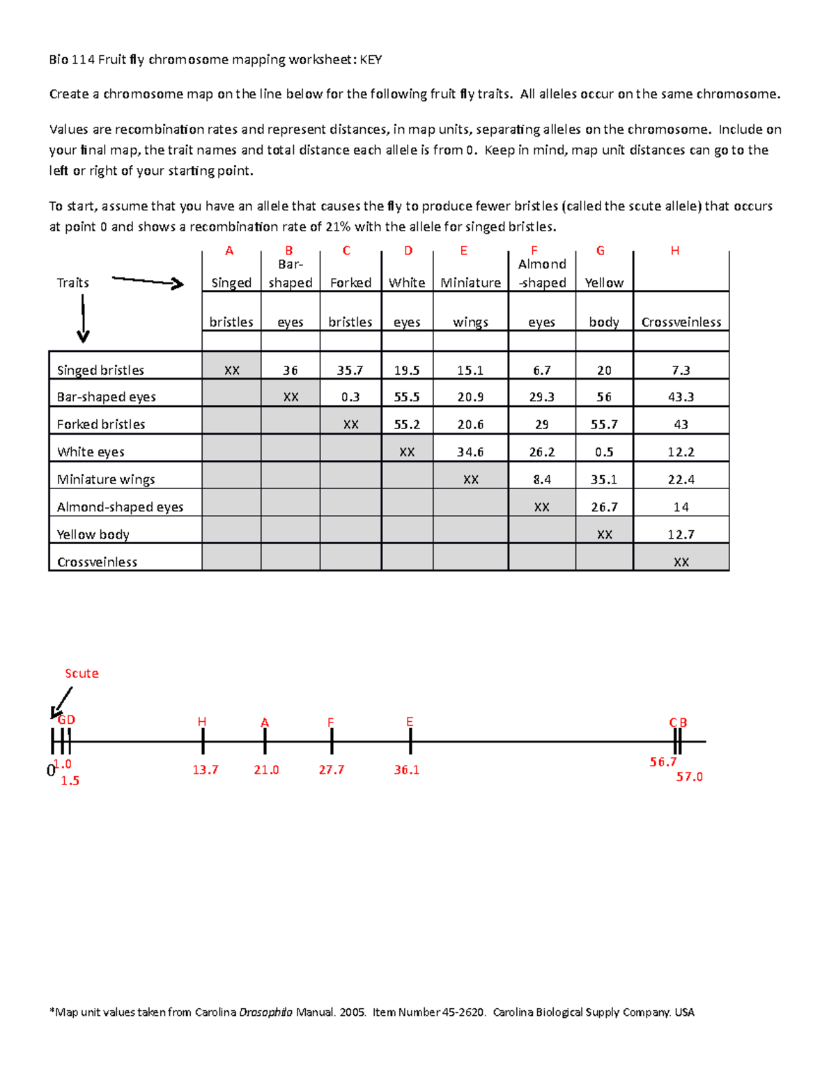 Bio 114 Final Exam: Fruit Fly Chromosome Mapping Worksheet Key - Studocu