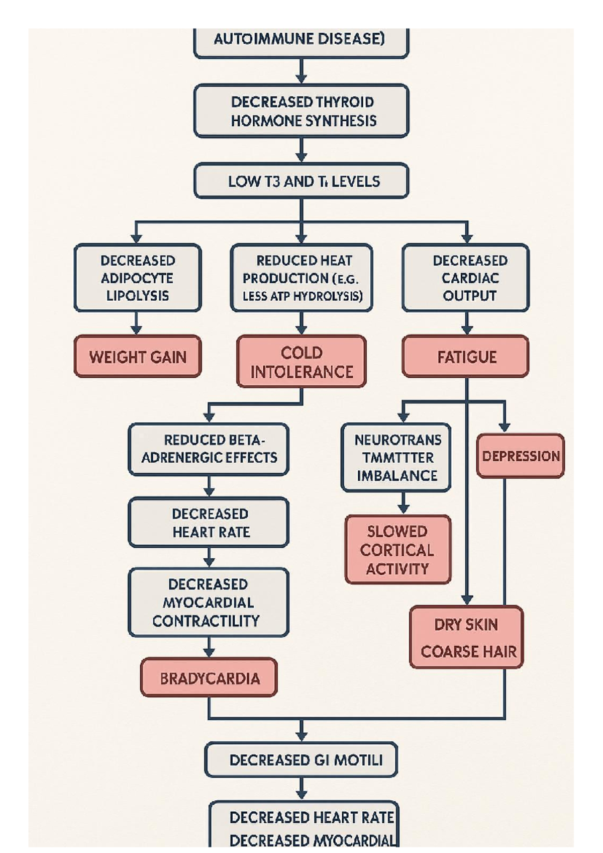 Hypothyroidism Pathophysiology Flowchart (BIO 101) - Studocu