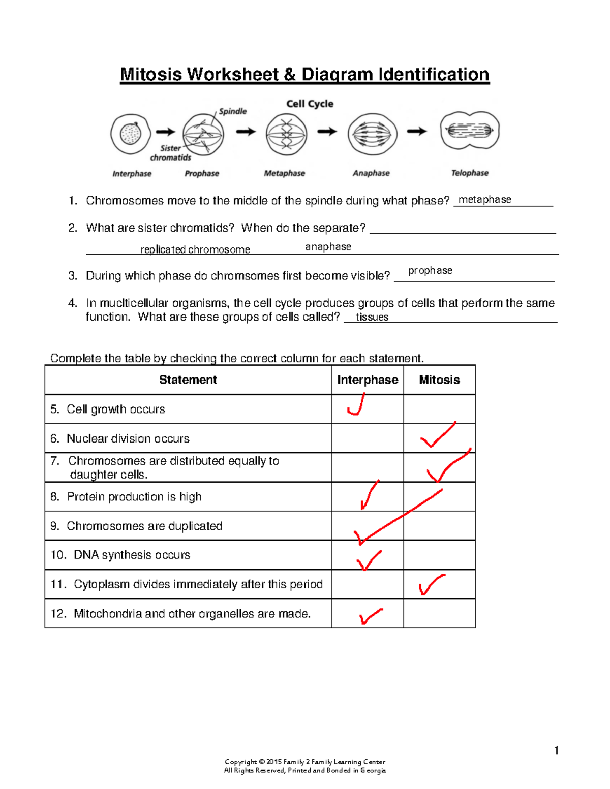 Kami Export - Jaylen Jasper - Copy of Mitosis Worksheet Diagram ...