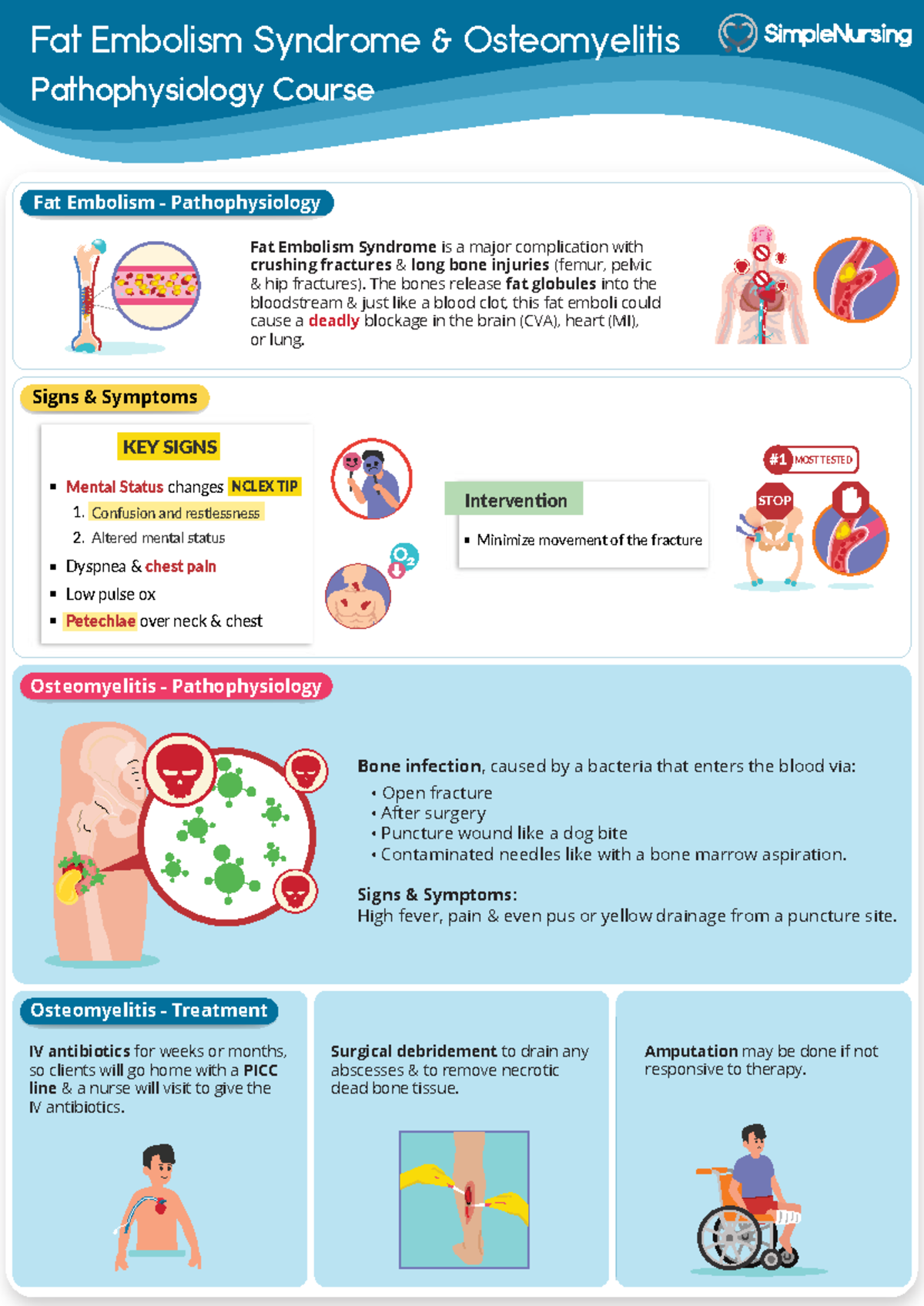 Fat Embolism Syndrome & Osteomyelitis Pathophysiology Notes - Studocu