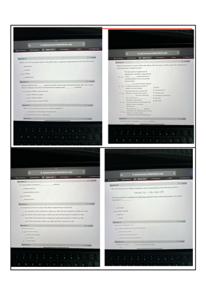 1a Anatomy of the Visual System - Accessory structures Product Lacrimal ...