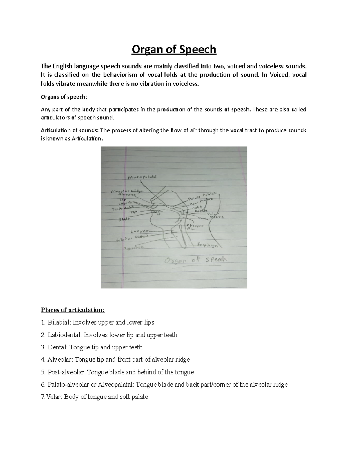 Organ of Speech: Voice and Articulation Mechanics Study Guide - Studocu