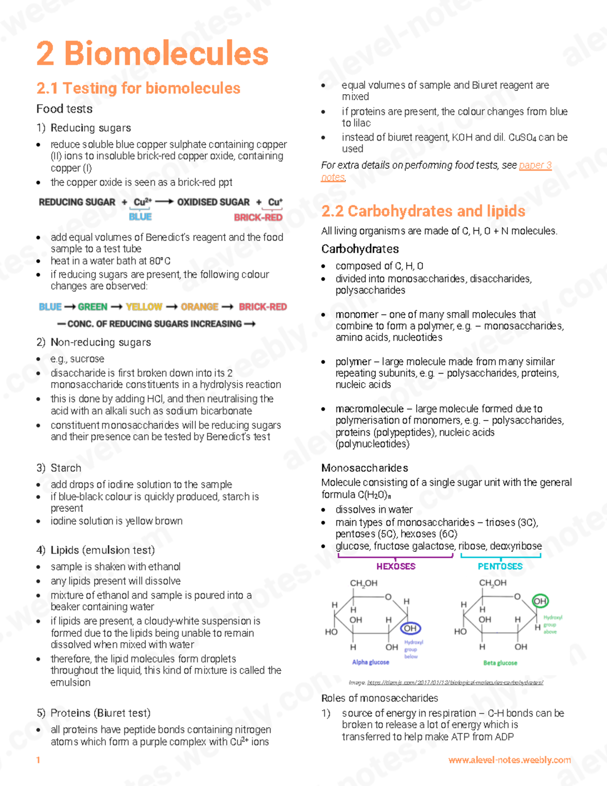 Biomolecules Overview: Food Tests and Structural Insights (Bio 2) - Studocu