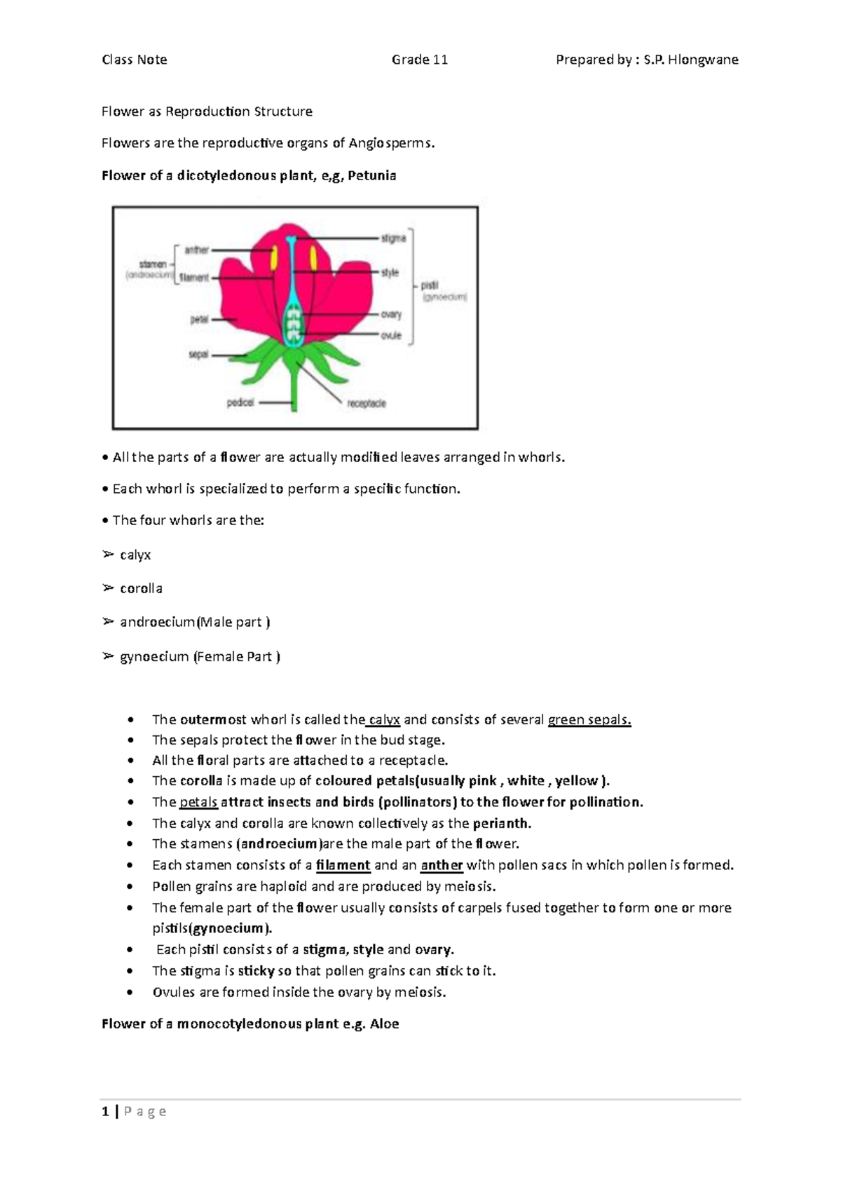 Grade 11 Class Notes: Flower Structure & Seed Formation - Studocu