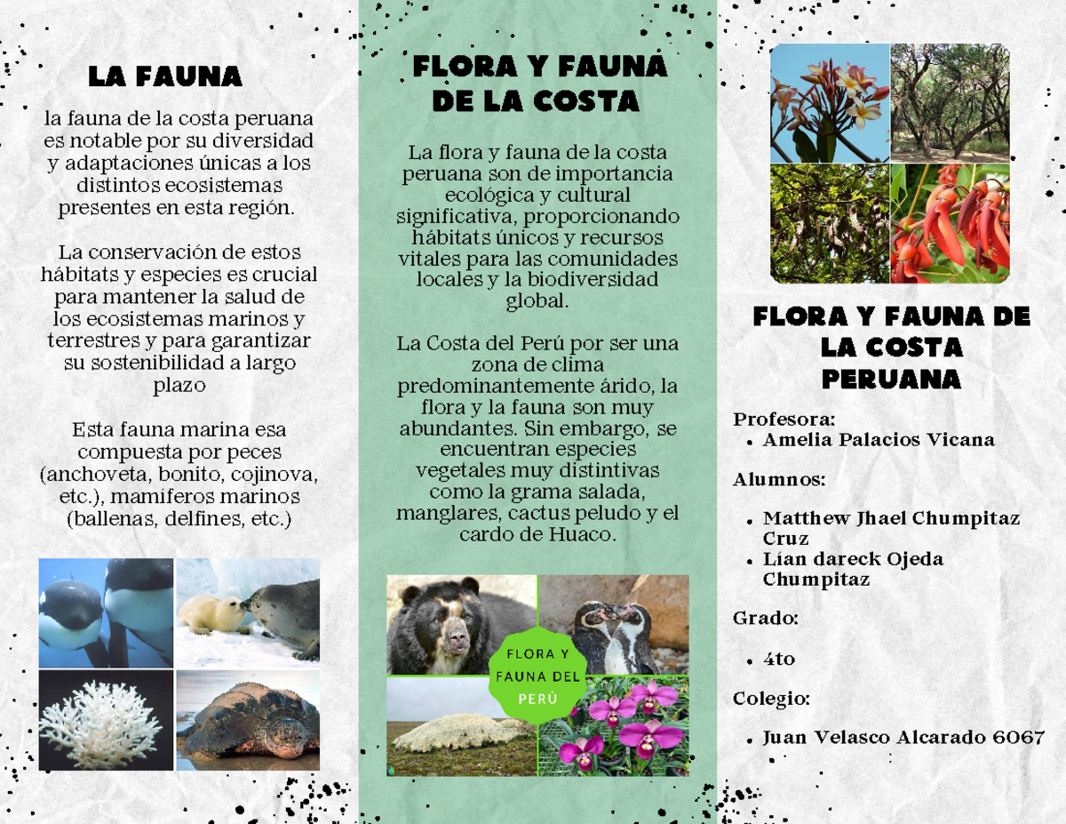 Flora y Fauna de la Costa Peruana: Importancia Ecológica y Cultural ...