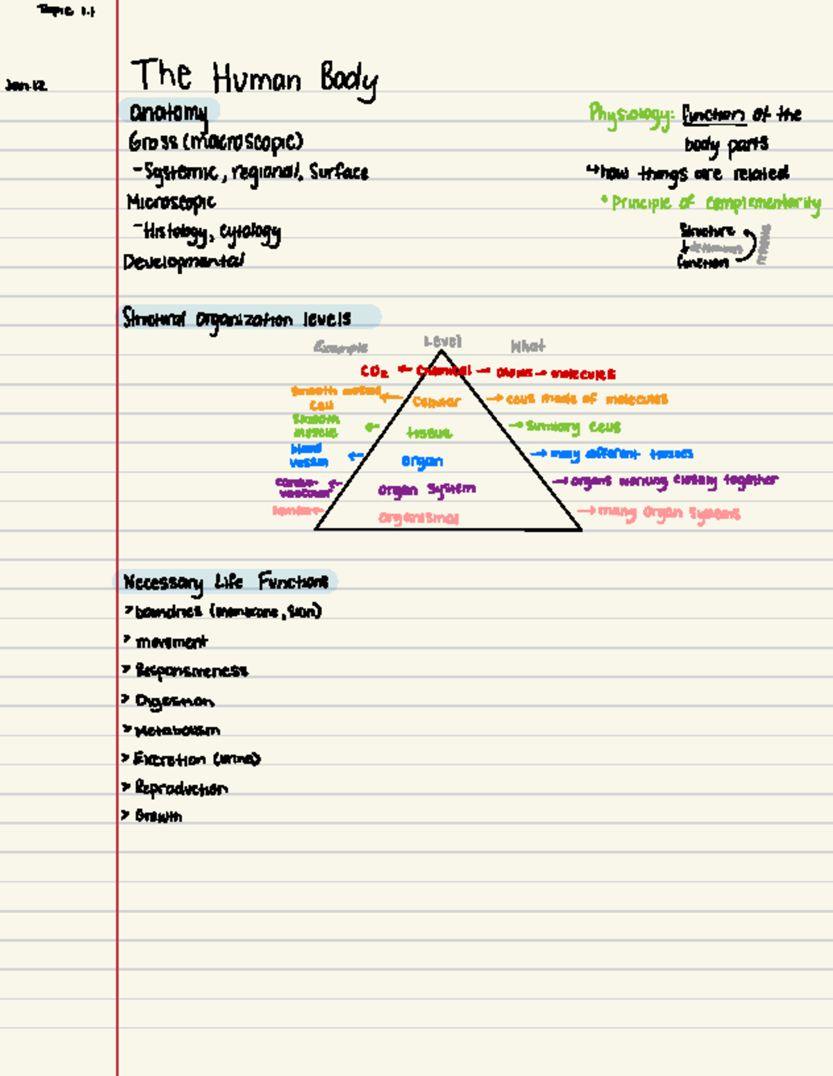 ANP1105 Topic 1 The Human Body - Topic 1. / Jan. 12 The Human Body ...