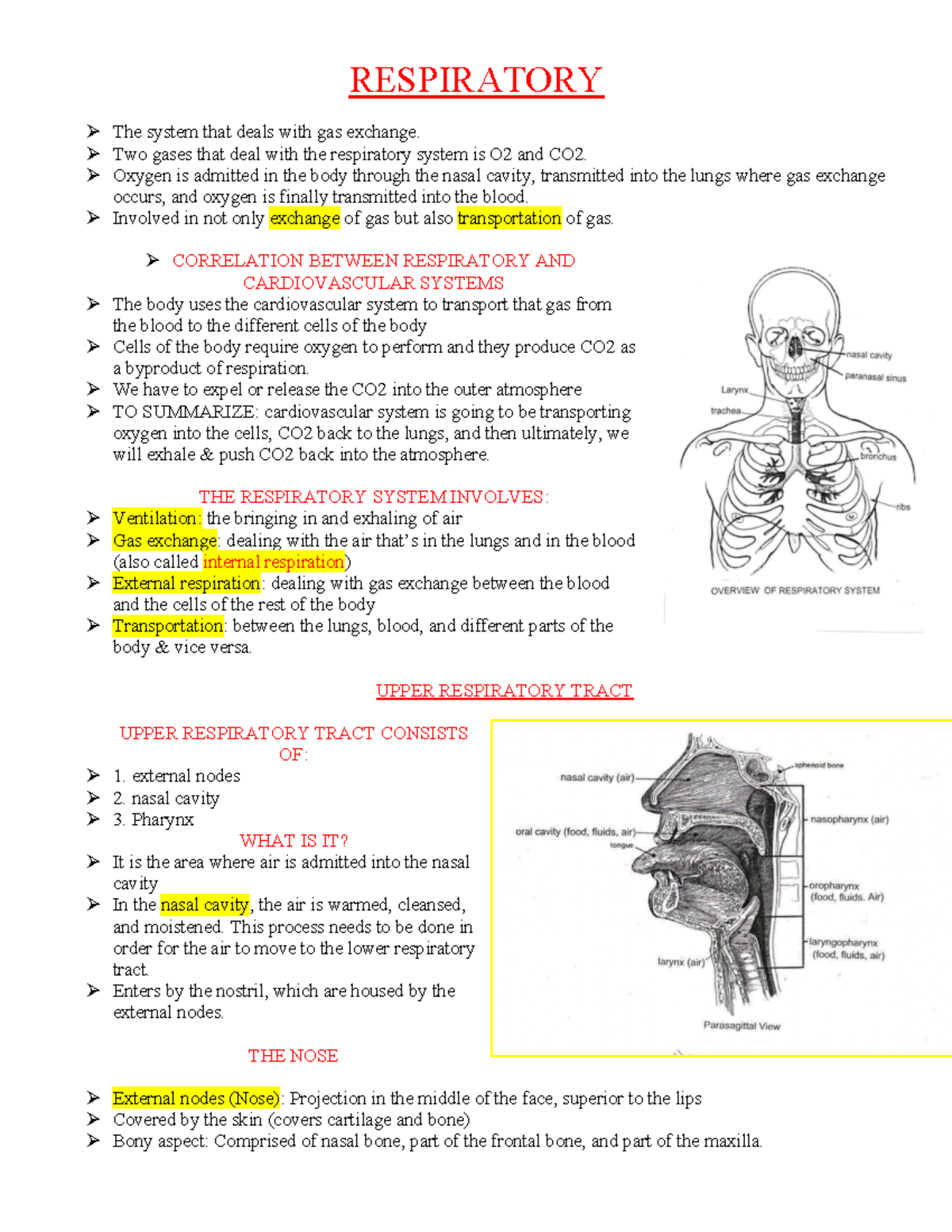 Respiratory Anatomy Review (Course Code: ANAT123) - Key Concepts and ...