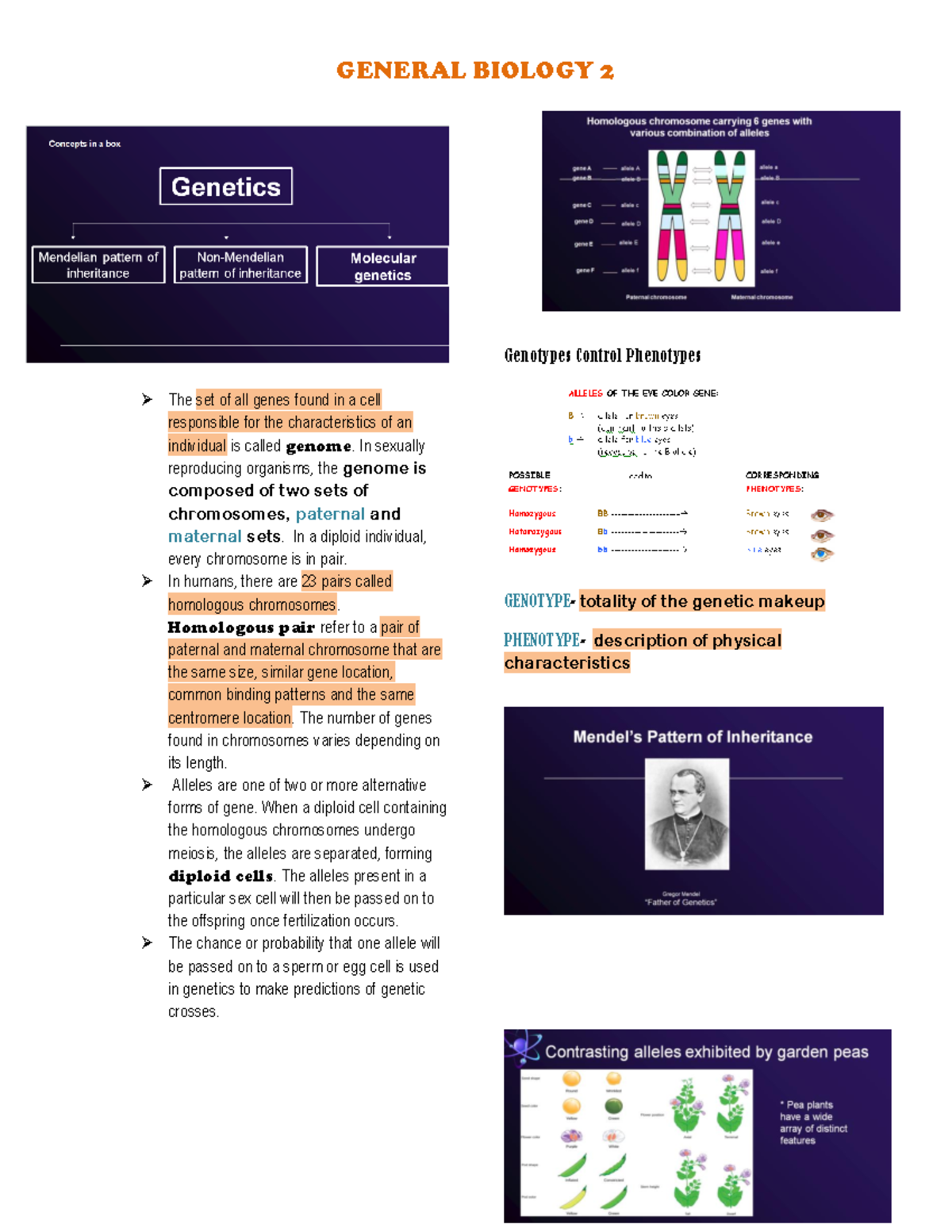 GEN BIO 2 STEM 2ND SEM Q1 - GNERAL BIOLOGY 2 NOTES - The set of all ...