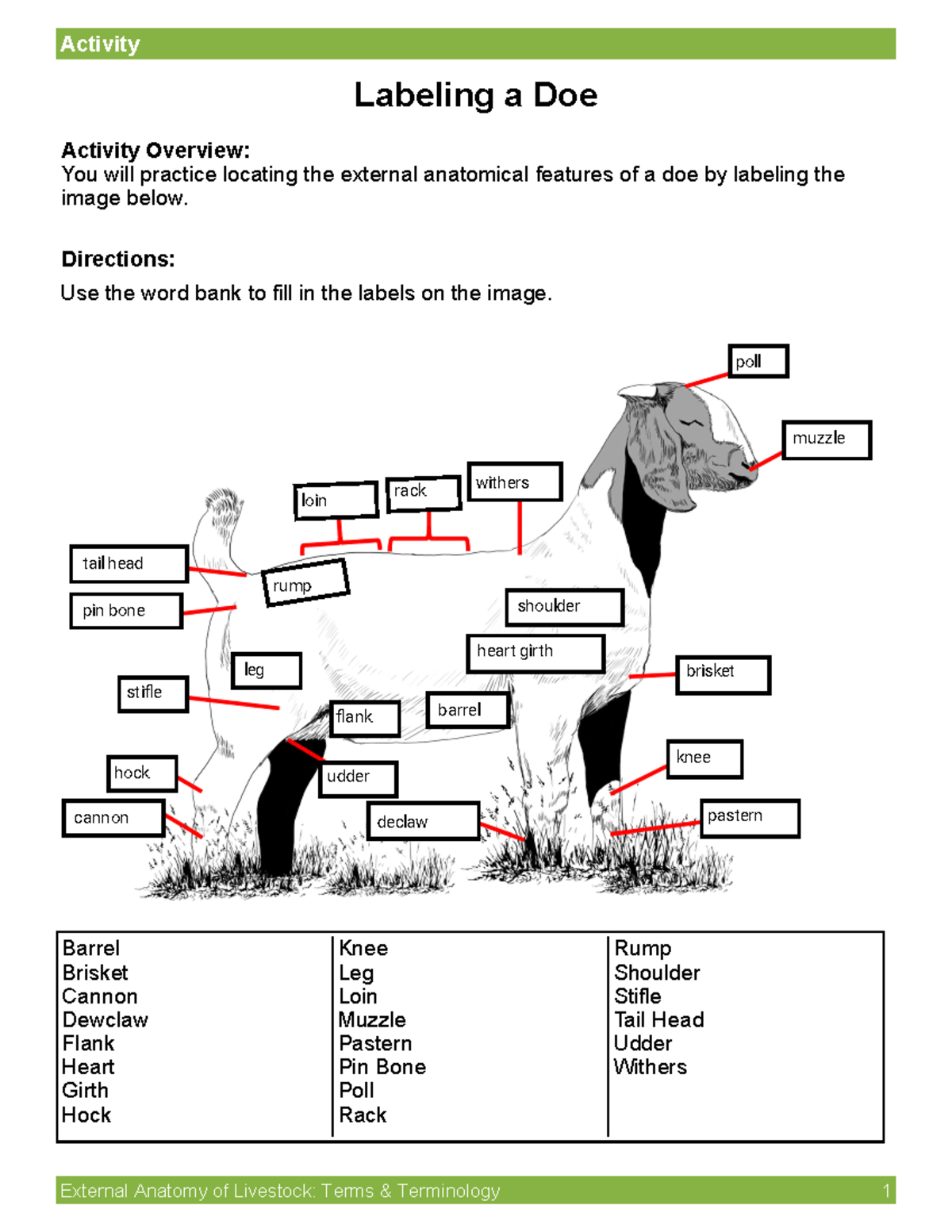 Kami Export - Nicholas Baker - Activity - Labeling a Doe - Activity ...