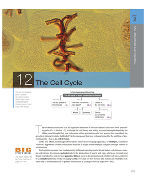 Cellular Respiration Guided Notes: Key Concepts & Processes - Cellular ...