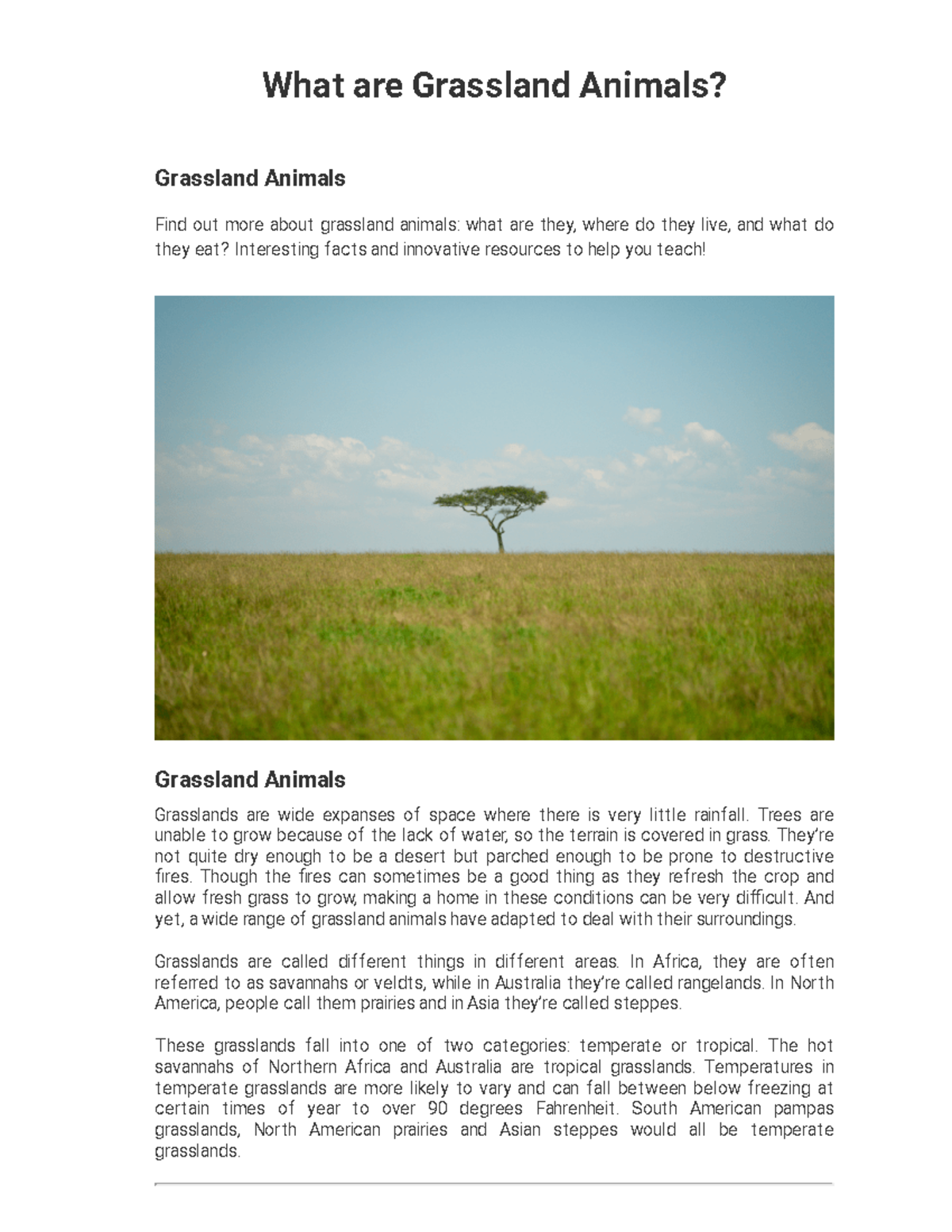 What animals live in grasslands - Twinkl - Grassland Animals Find out ...