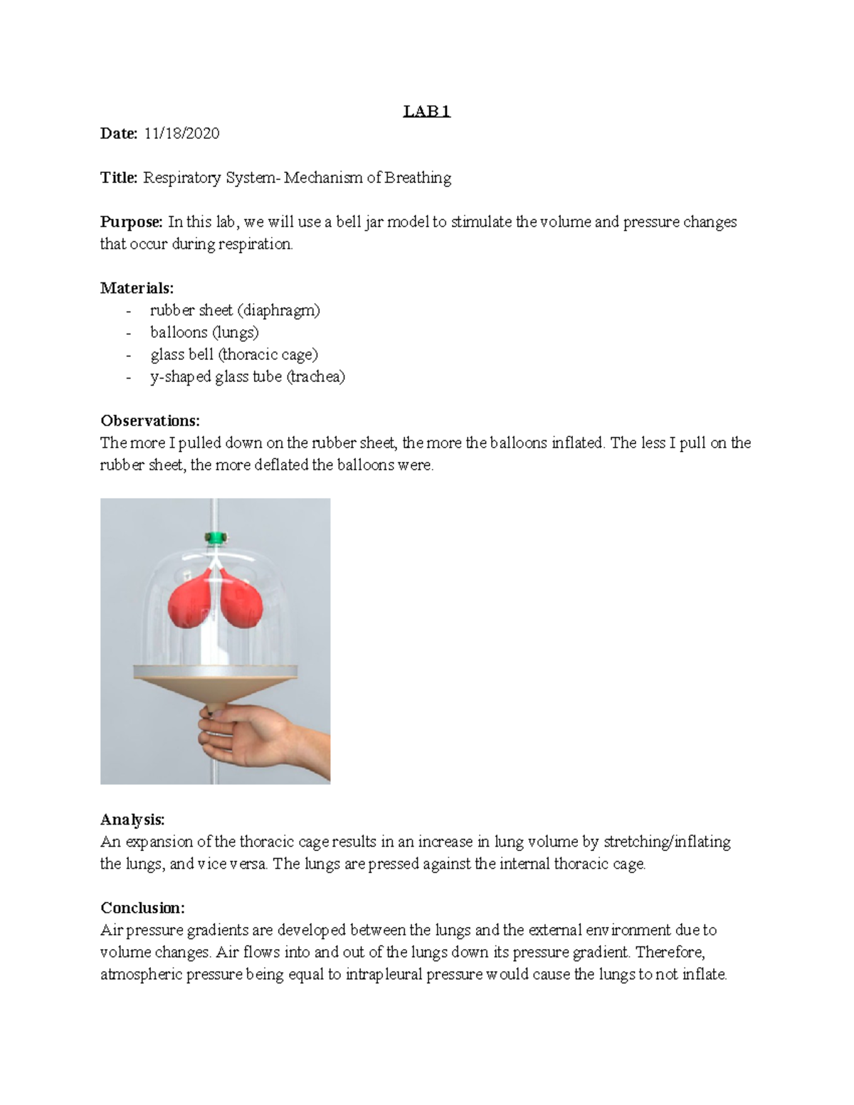 Respiratory System - Mechanism of Breathing - LAB 1 Date: 11/18/ Title ...