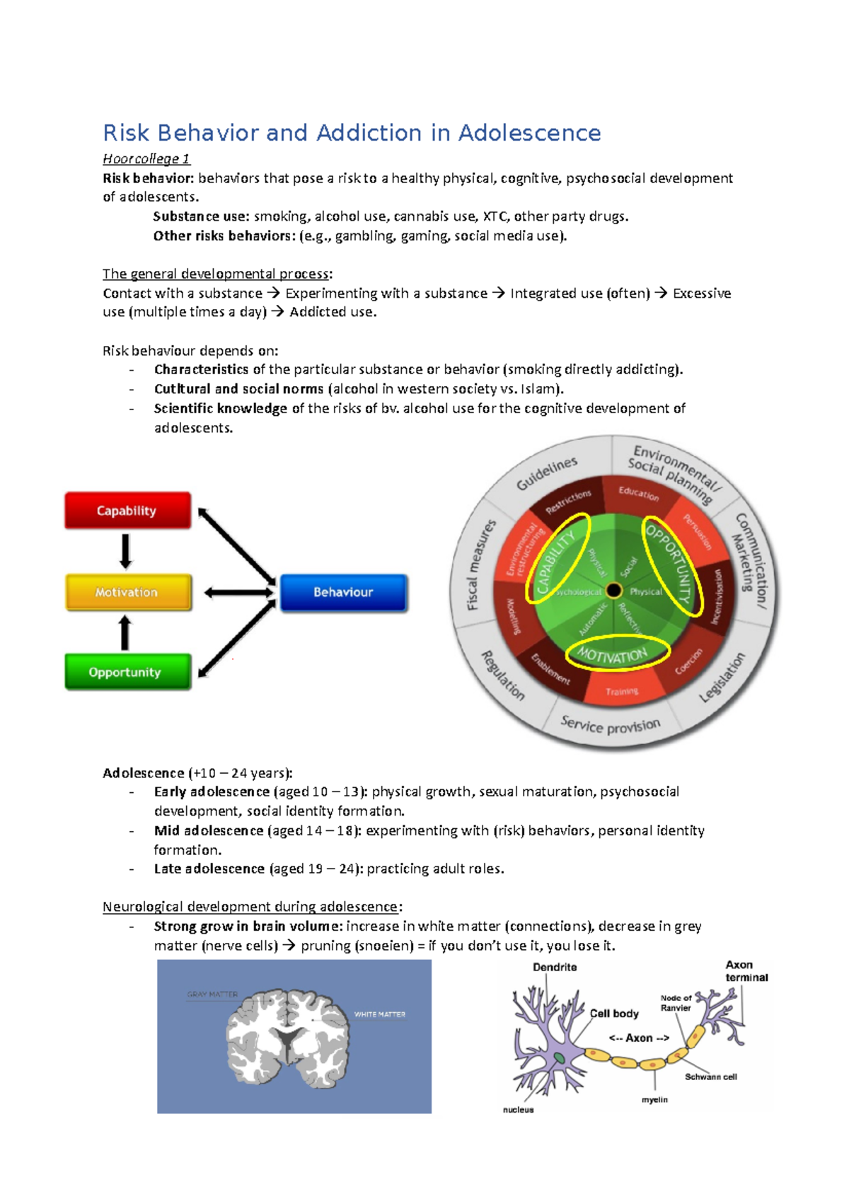Notes on Risk Behavior and Addiction in Adolescence UU Year 2 - Studeersnel