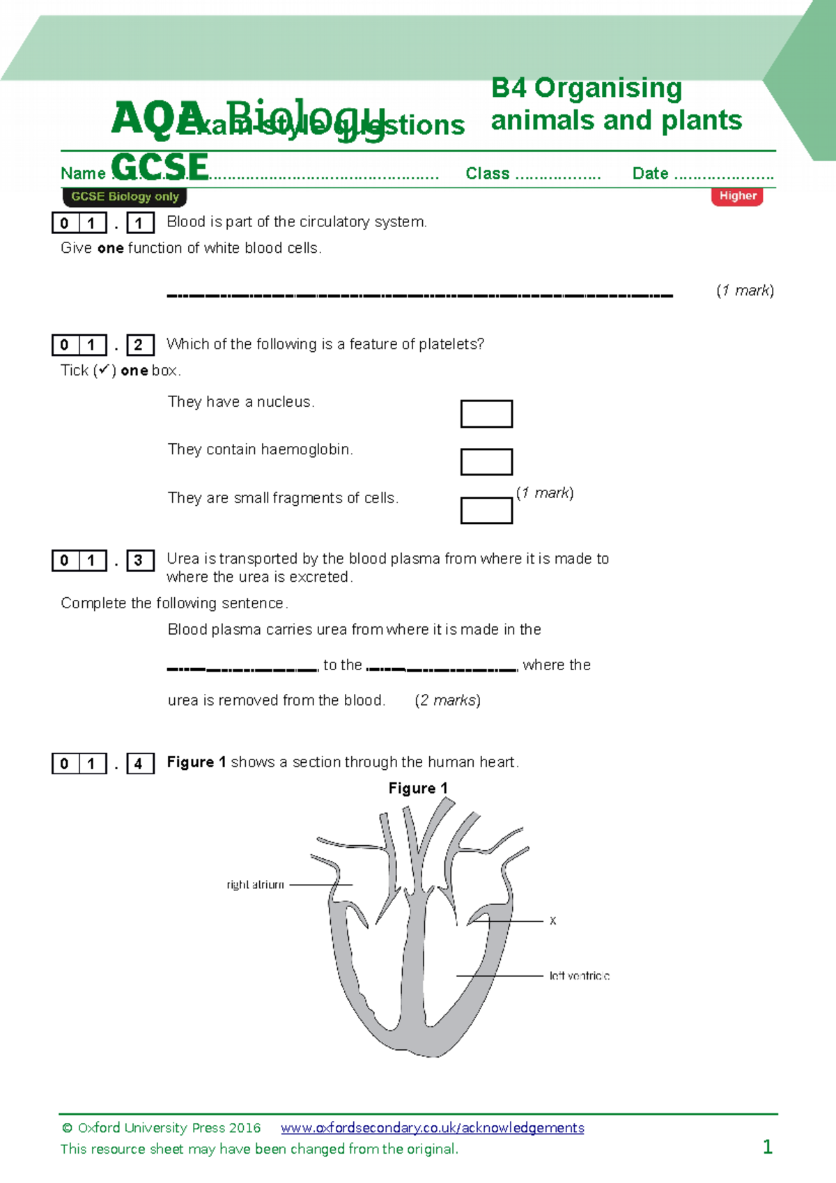 Organising animals and plants test - Exam-style questions Name - Studocu
