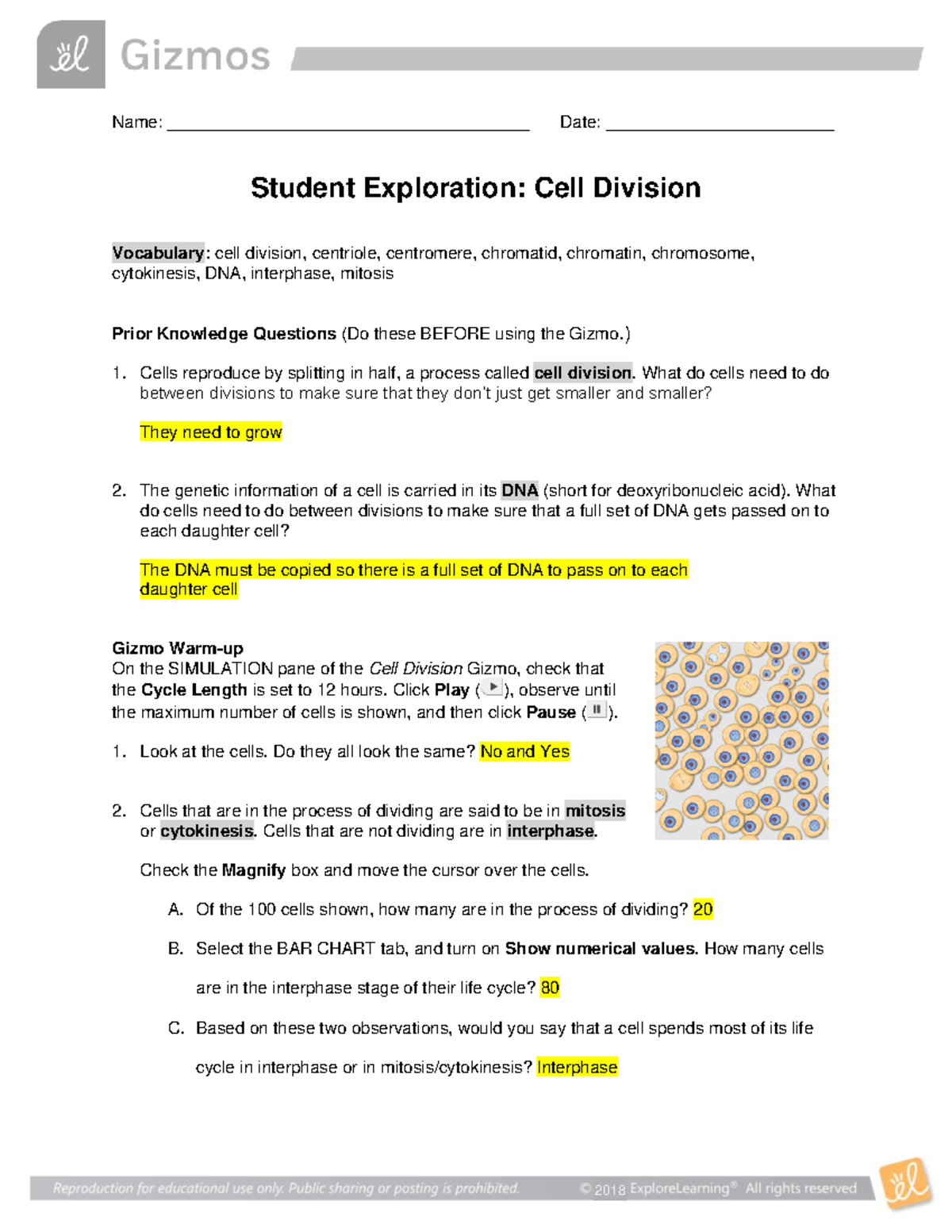 Cell Division DONE - Notes and basics on Cell divison - Name