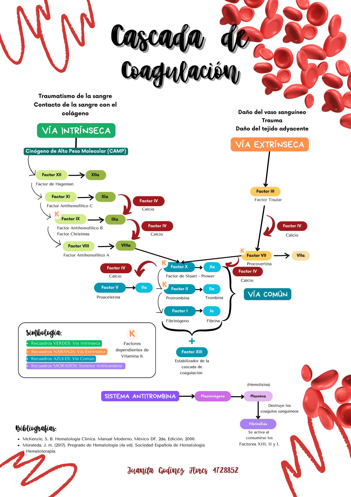 Cascada de Coagulación: Factores y Vías del Proceso Hemostático - Studocu